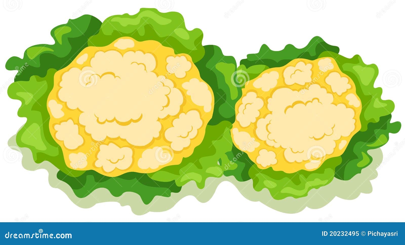 Cauliflower Cartoons, Illustrations & Vector Stock Images - 12023 ...