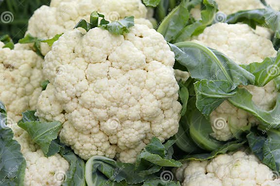 Cauliflower stock image. Image of greenstuff, natural - 20746131