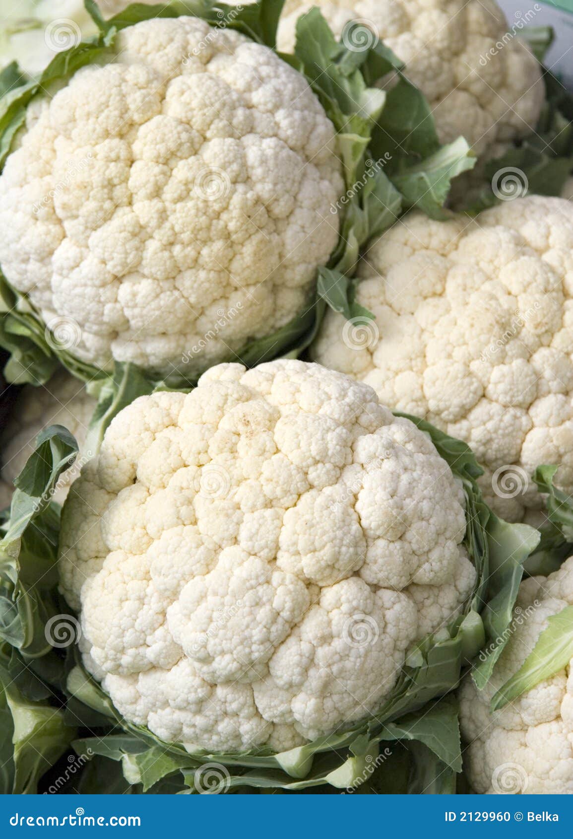 Cauliflower stock photo. Image of fresh, calorie, grocery - 2129960