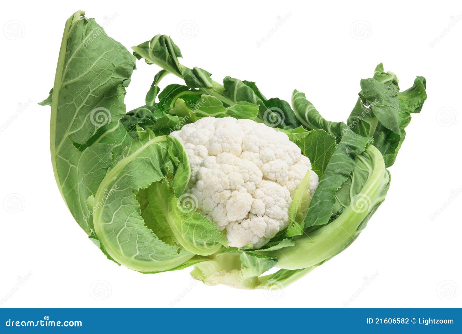 Cauliflower stock photo. Image of nutrition, still, cauliflower - 21606582