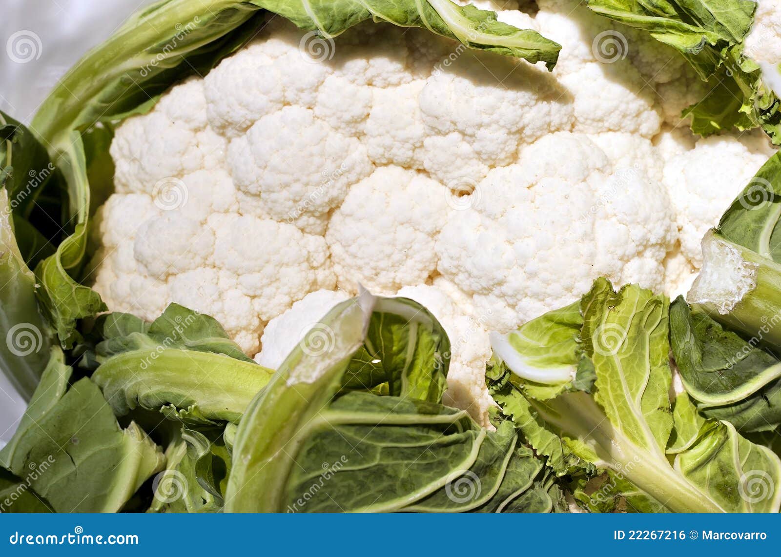 Cauliflower stock photo. Image of agriculture, groceries - 22267216