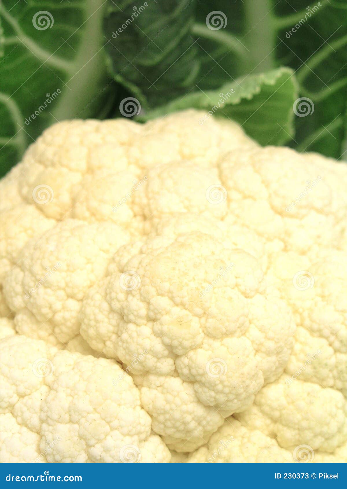 Cauliflower stock image. Image of diet, color, ingredient - 230373