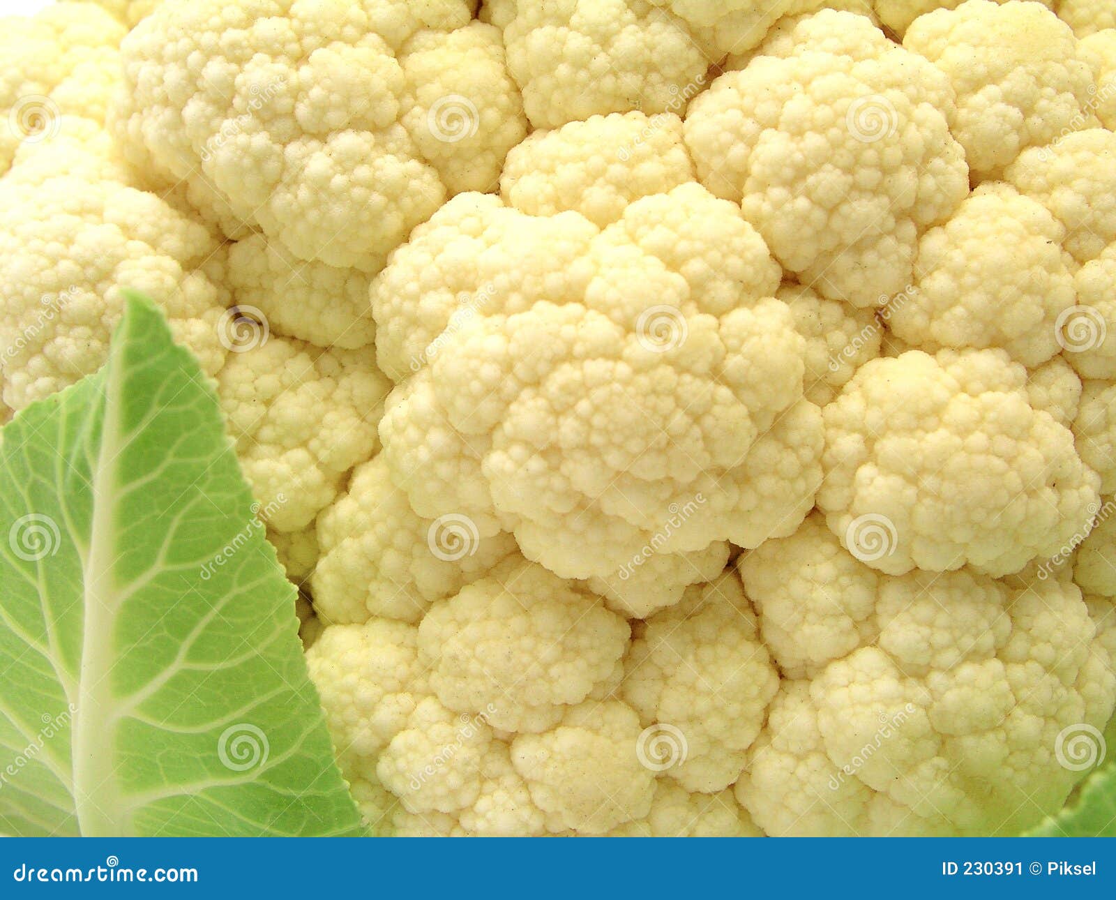 Cauliflower stock image. Image of florets, head, cooking - 230391