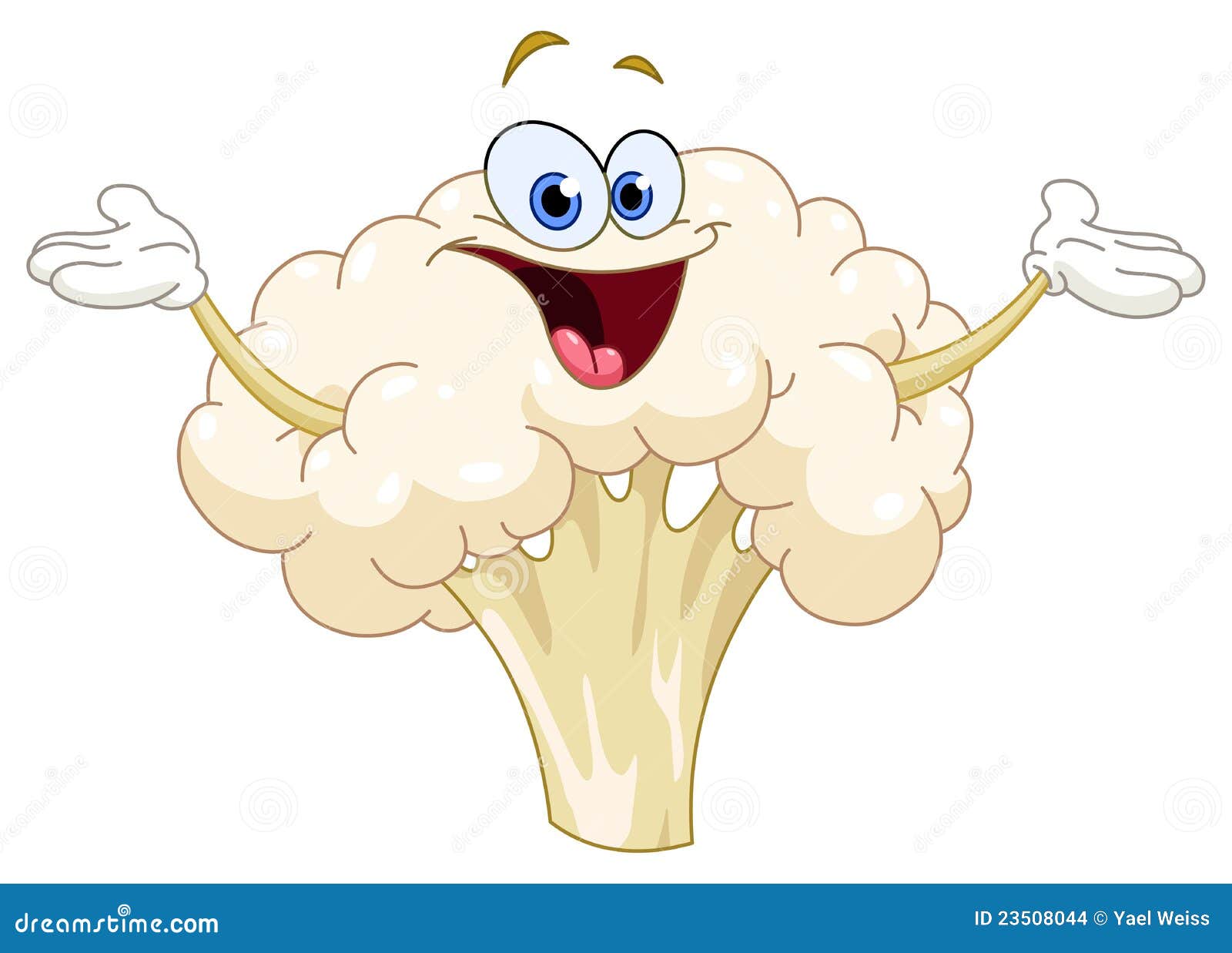 Cauliflower stock vector. Illustration of funny, cauli - 23508044
