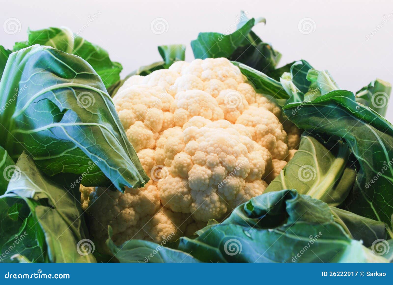 Cauliflower stock image. Image of tasty, natural, fresh - 26222917