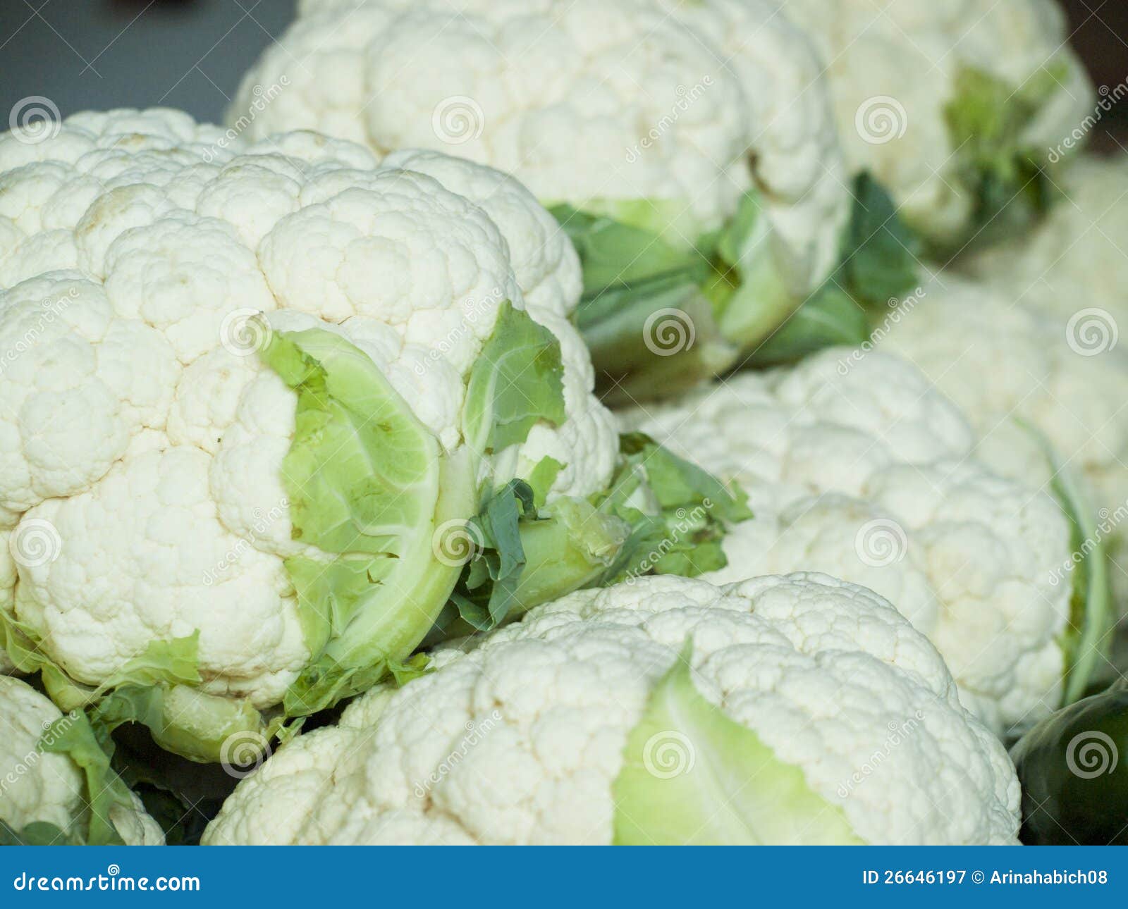 Cauliflower stock image. Image of heading, blooming, flower - 26646197