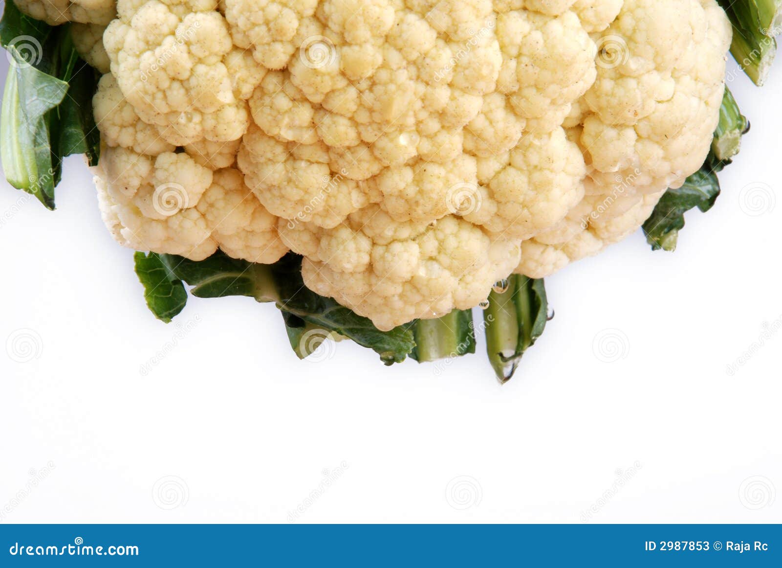 Cauliflower stock image. Image of veggie, healthy, eating - 2987853