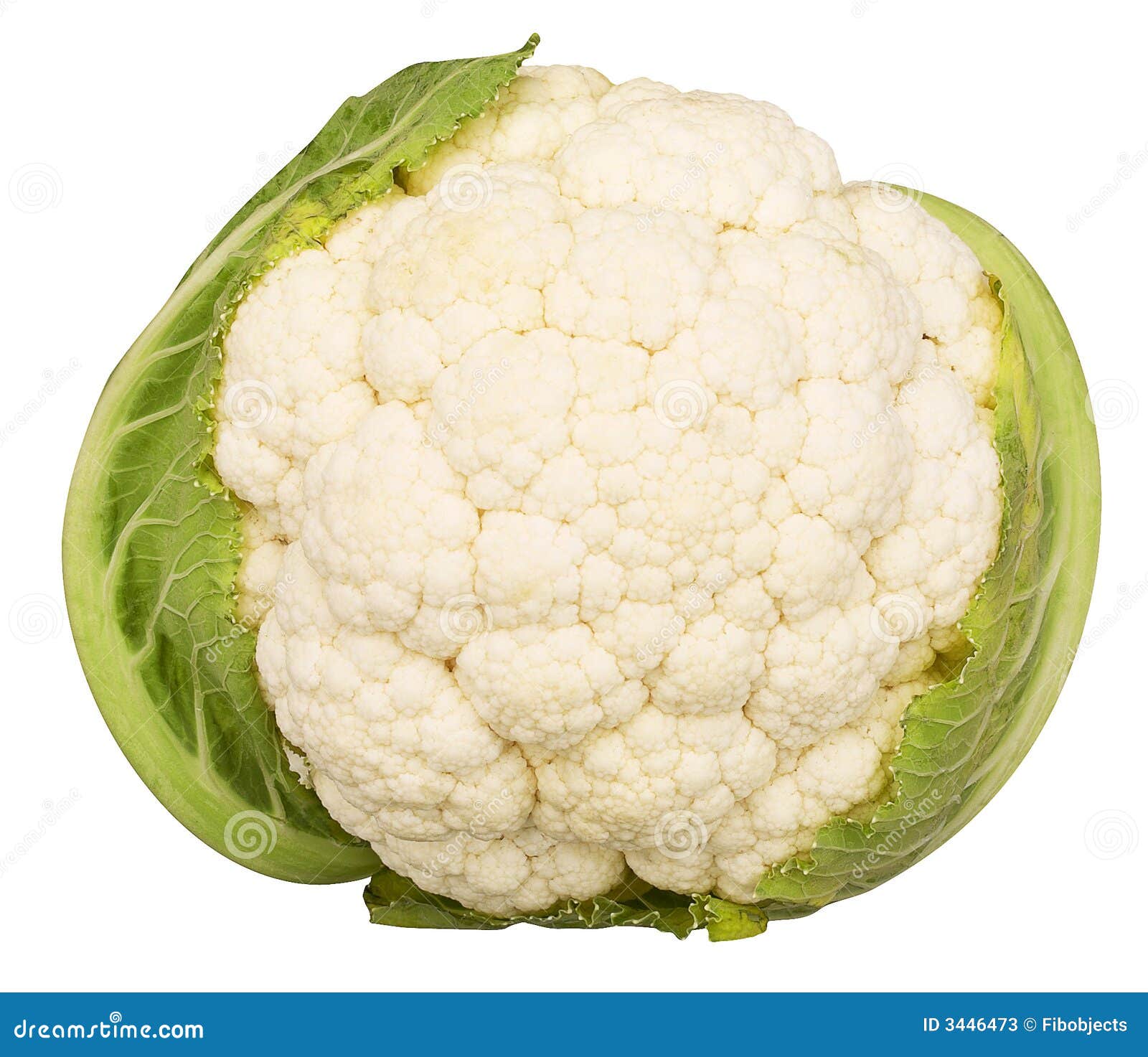 Cauliflower stock image. Image of path, gastronomy, cabbage - 3446473