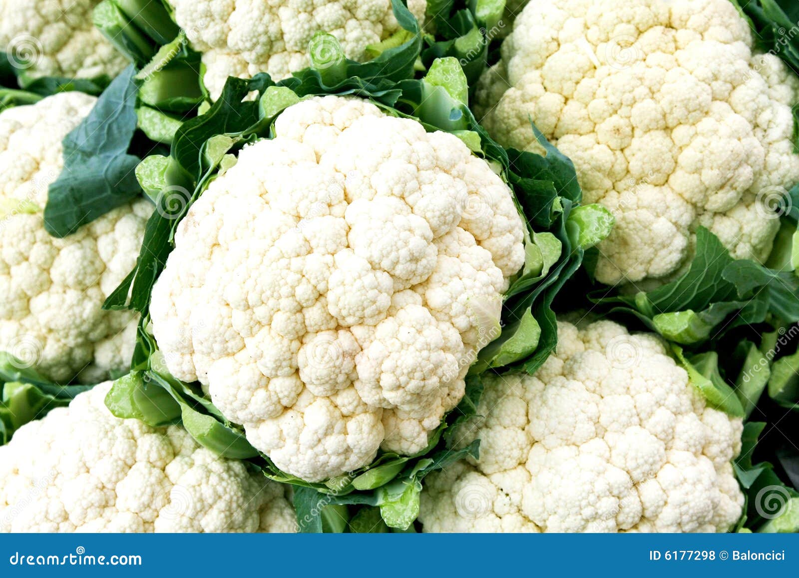 Cauliflower stock photo. Image of vegetable, healthy, foods - 6177298