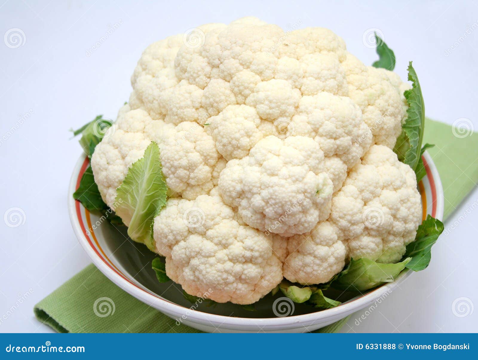 Cauliflower stock photo. Image of vegetables, cauliflower - 6331888
