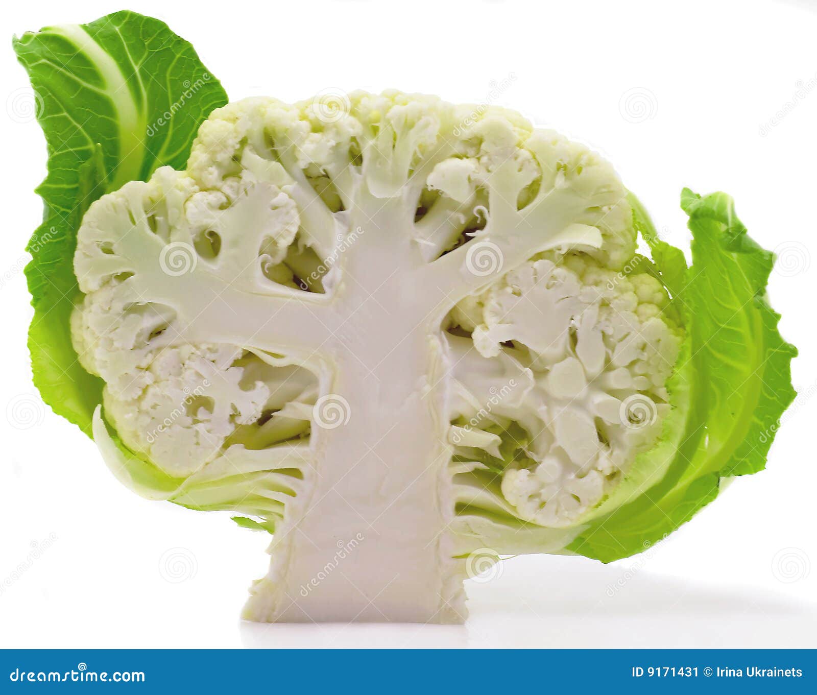 Cauliflower stock image. Image of cabbage, autumn, group - 9171431