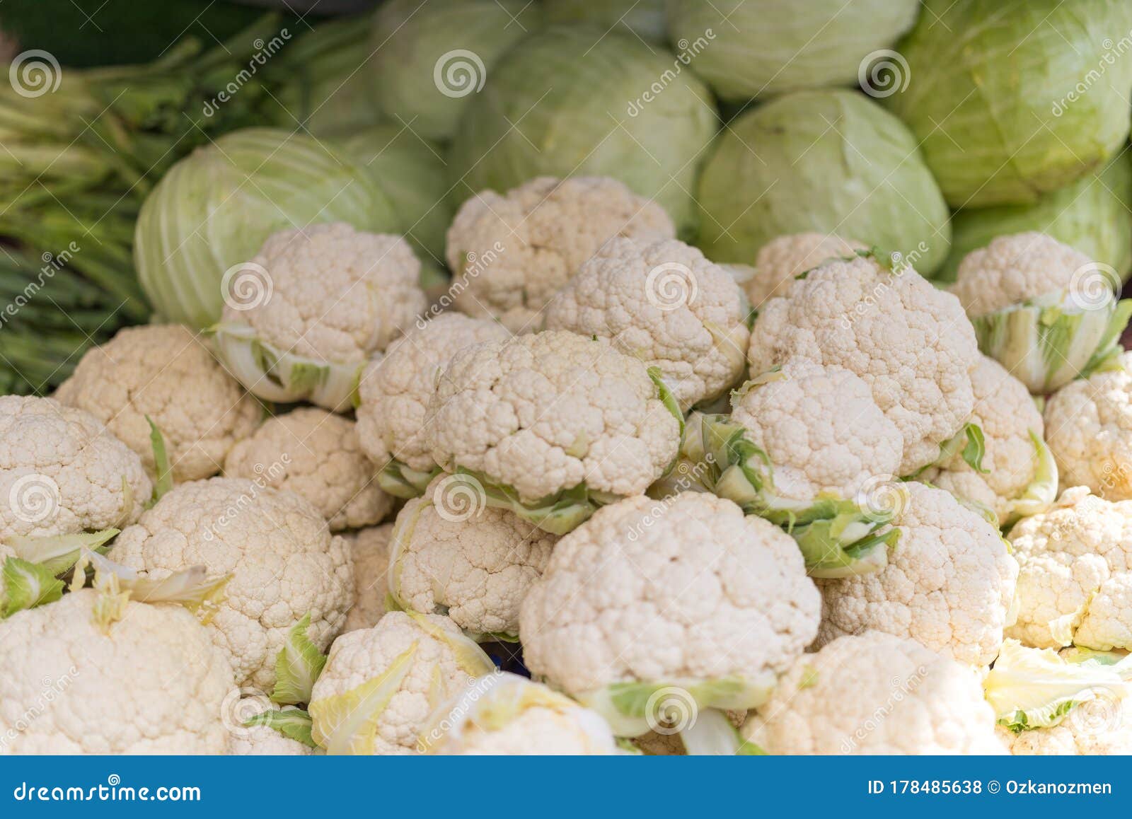 Cauliflower and cabbage stock photo. Image of delicacy - 178485638