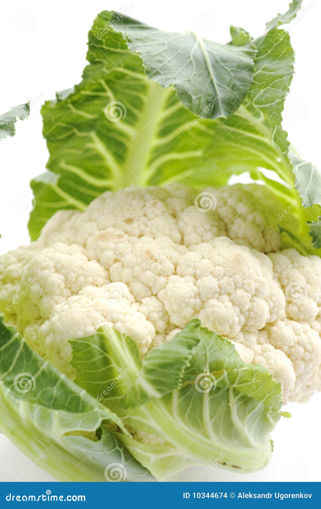 Cauliflower closeup stock photo. Image of natural, health - 10344674