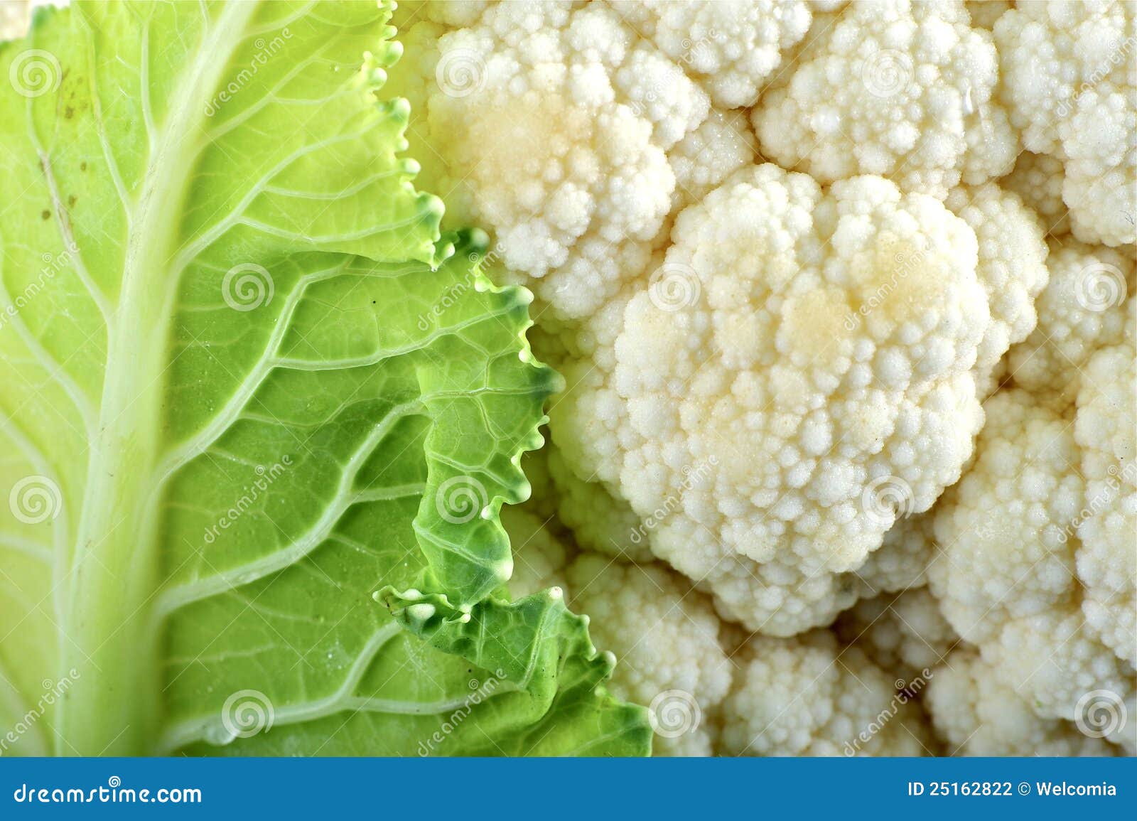 Cauliflower Closeup stock photo. Image of organic, food - 25162822