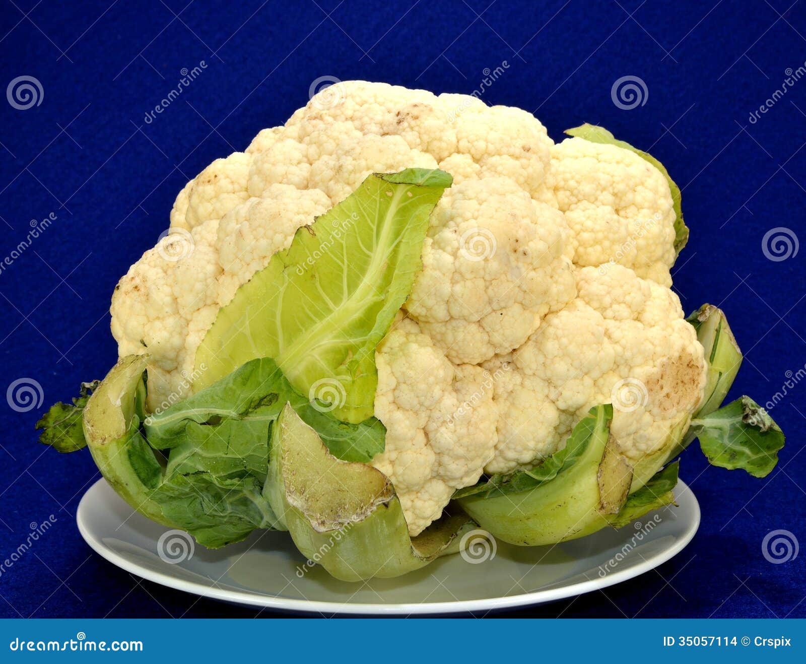 Cauliflower stock photo. Image of tasty, cauliflower - 35057114