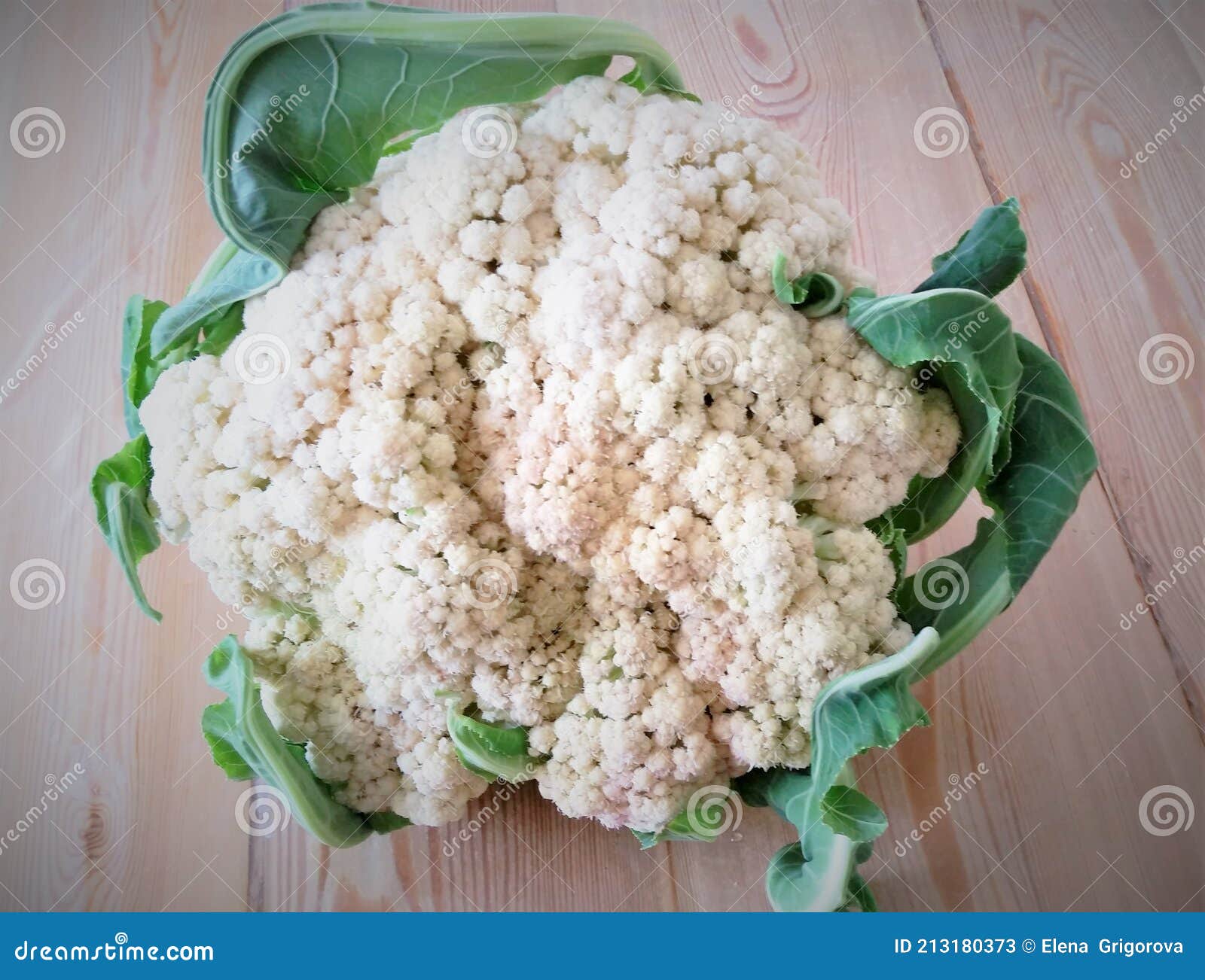 Cauliflower Head. Organic Cauliflower in Summer with Leaves Stock Image ...
