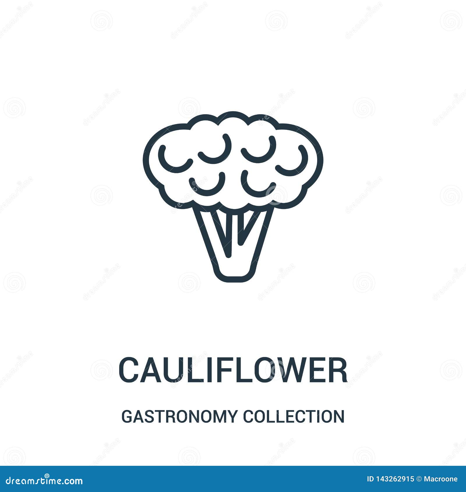 Cauliflower Icon Vector from Gastronomy Collection Collection. Thin ...