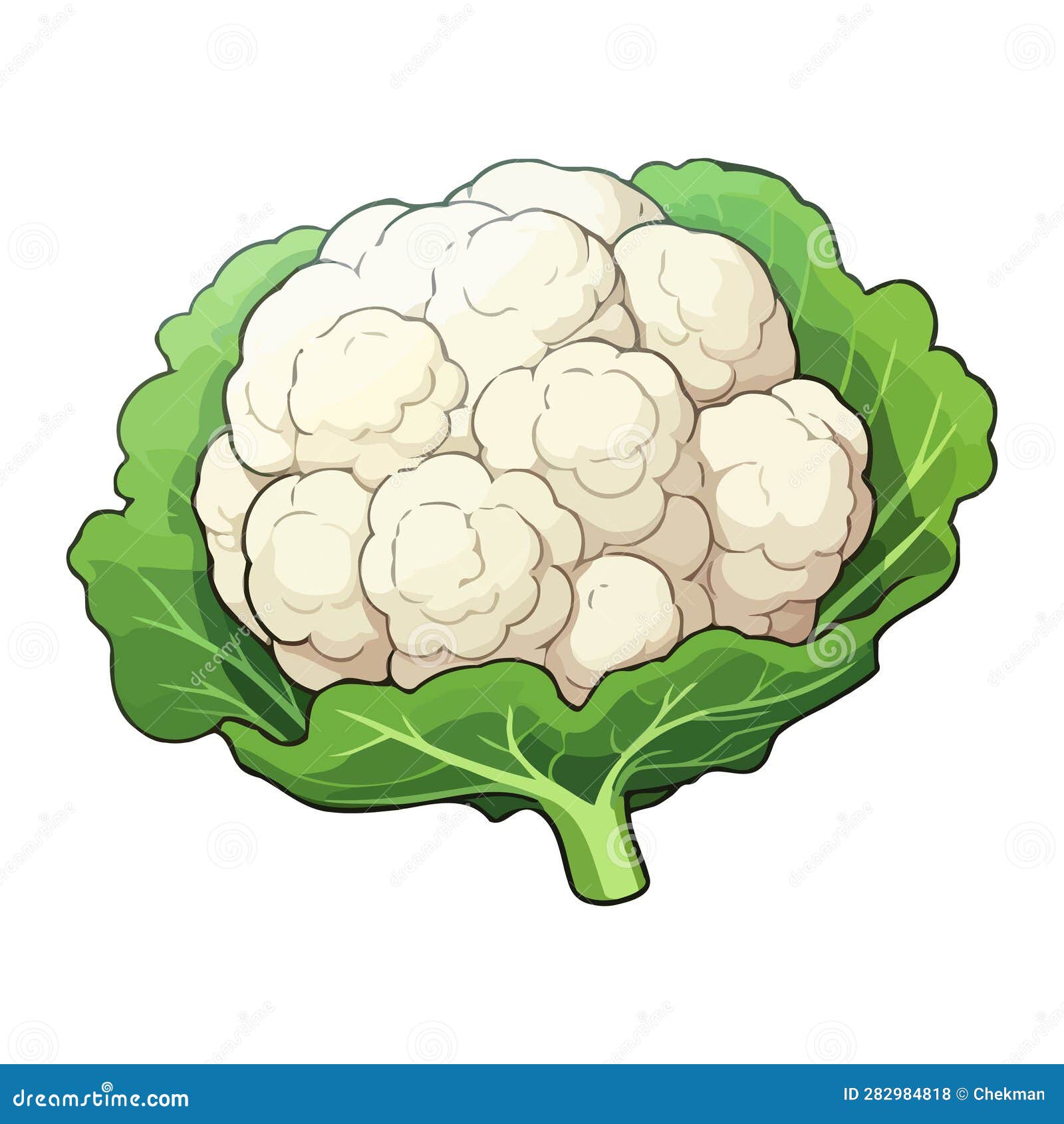 Cauliflower Image. Cute Image of an Isolated Cauliflower Stock ...