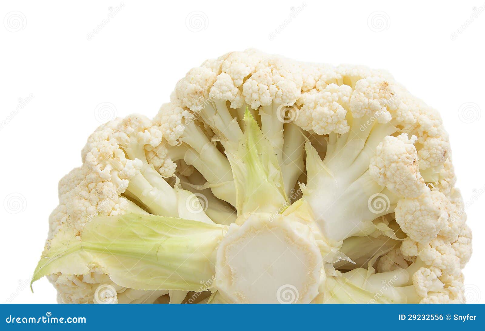 Cauliflower Isolated on White Stock Photo - Image of garden, crunchy ...
