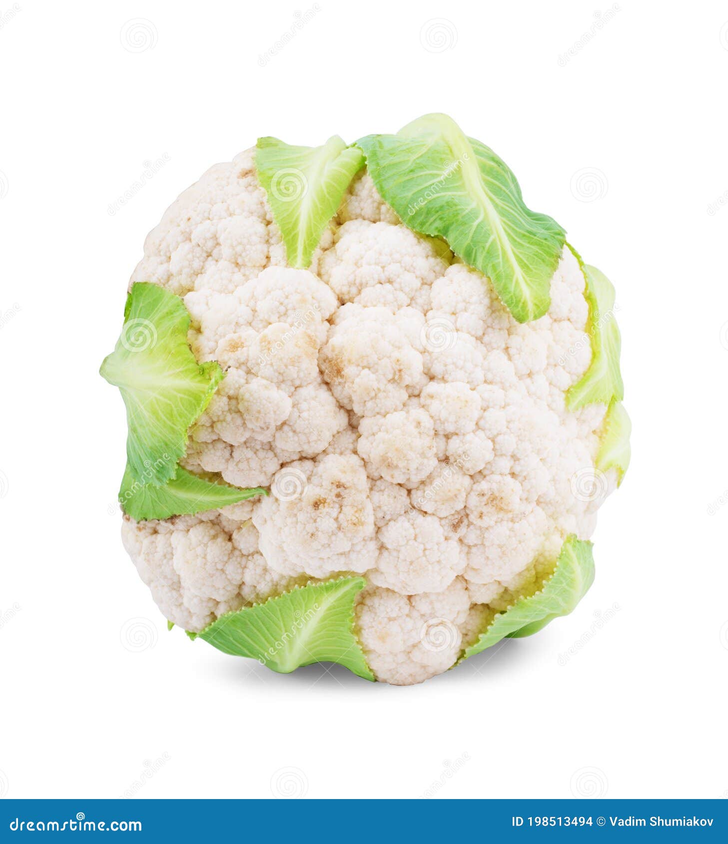 Cauliflower Isolated on White Background Stock Photo - Image of closeup ...