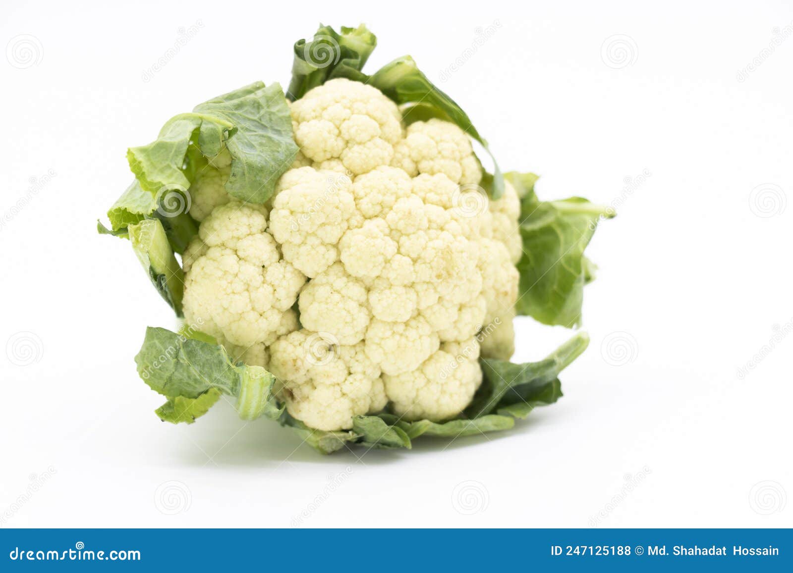 Cauliflower Isolated on White Background Stock Photo - Image of fresh ...