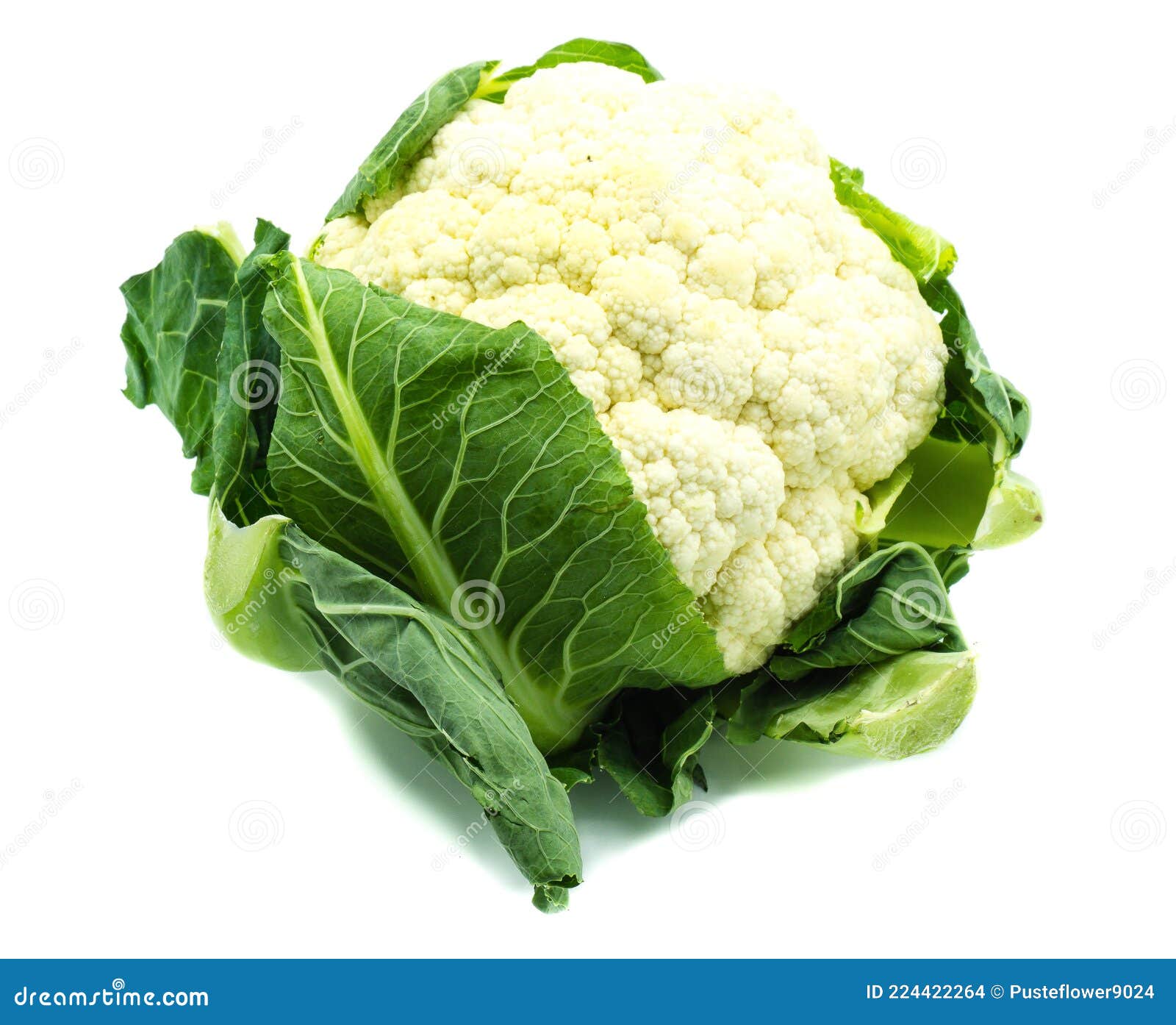 Cauliflower Isolated on White Background Stock Photo - Image of fresh ...