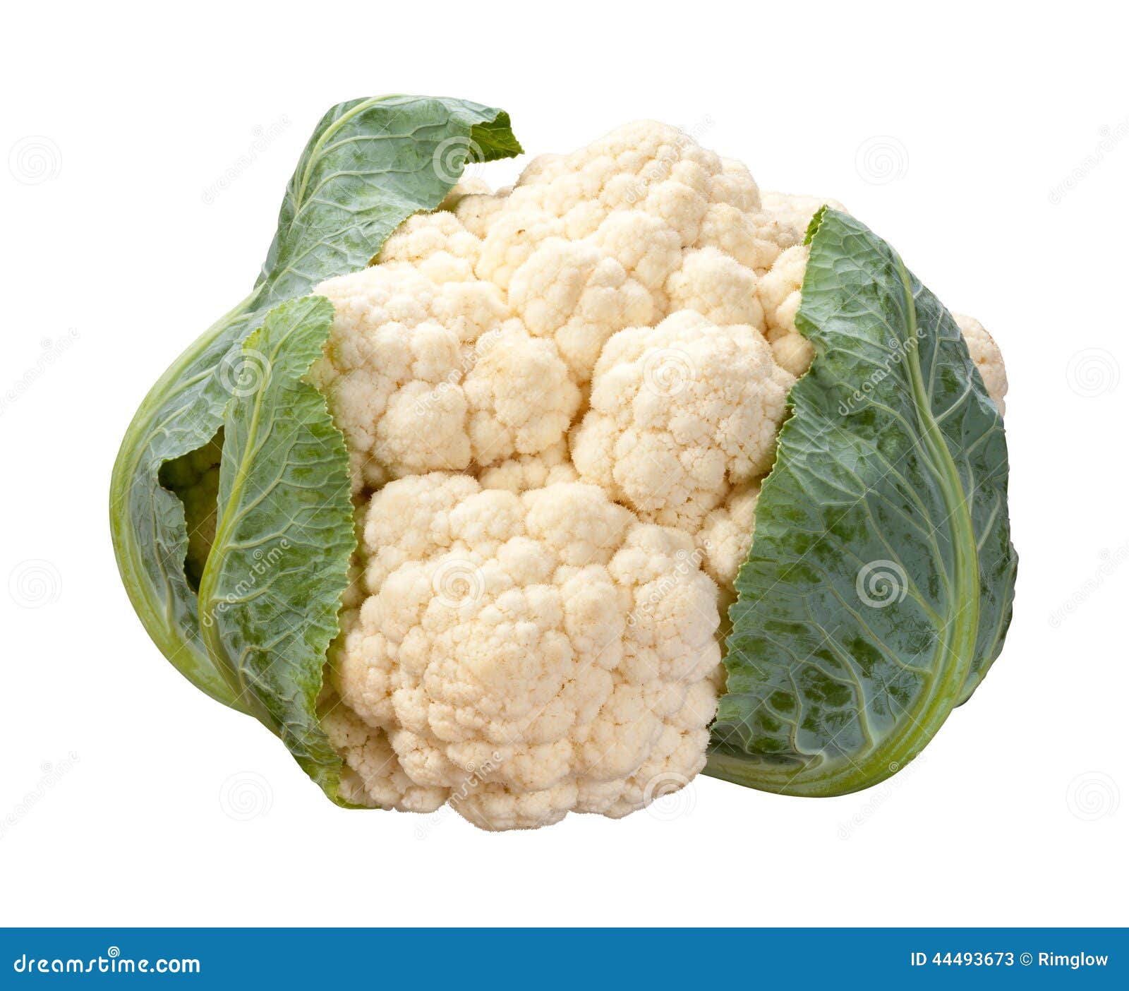 Cauliflower Isolated On A White Background. Food Royalty-Free Stock ...