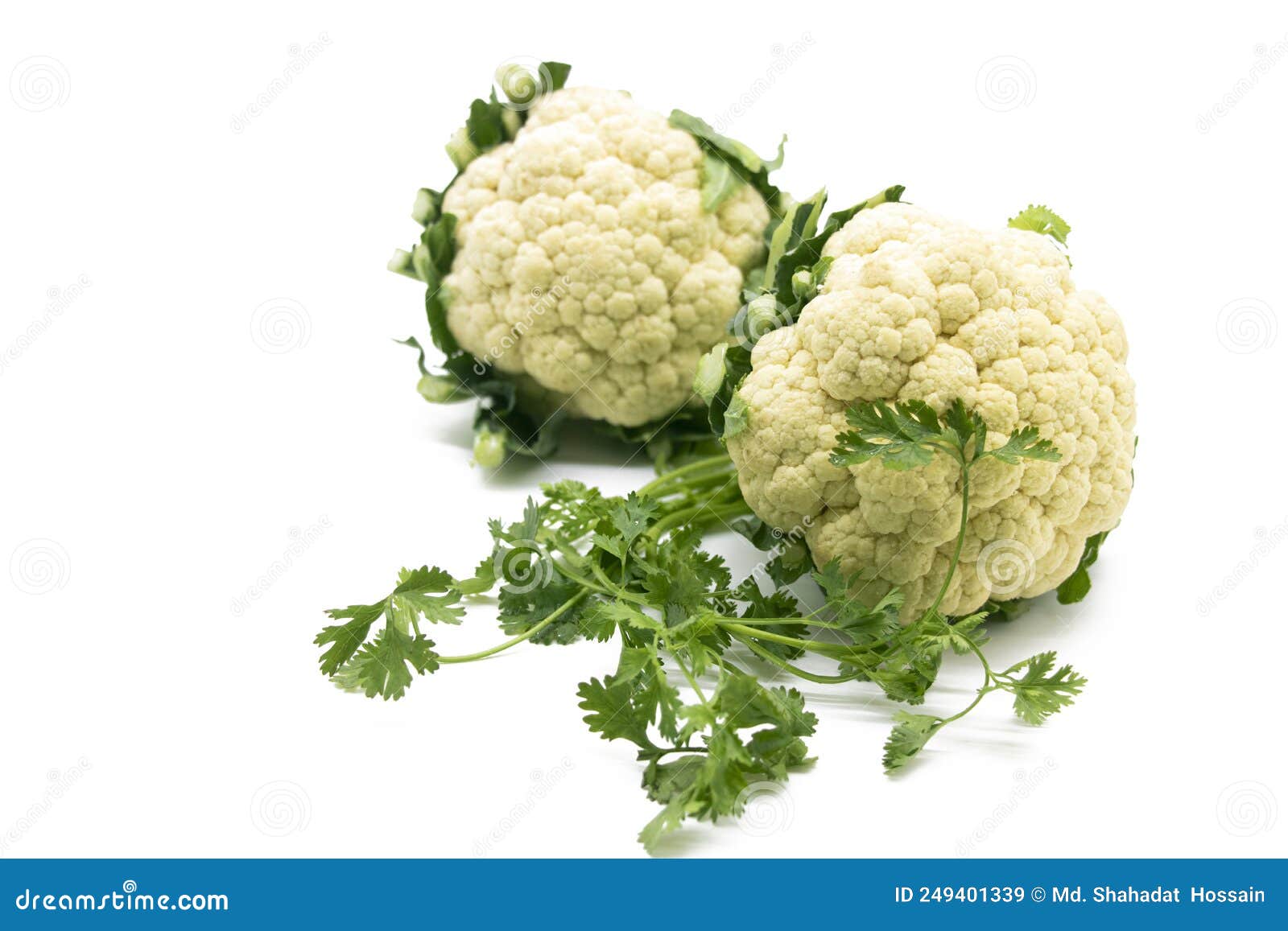 Cauliflower with Leaves Isolated on White Background Stock Image ...