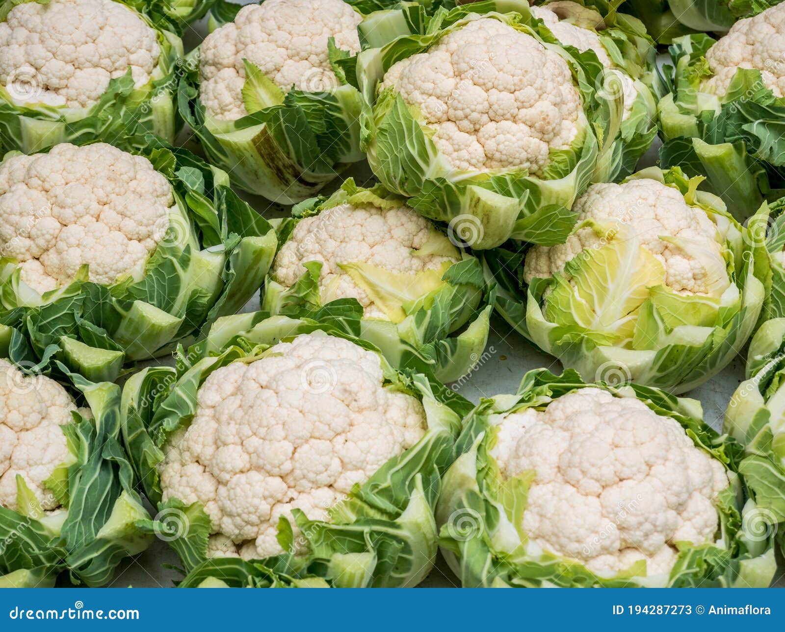 Fresh Cauliflower in the Market Stock Image - Image of stand ...