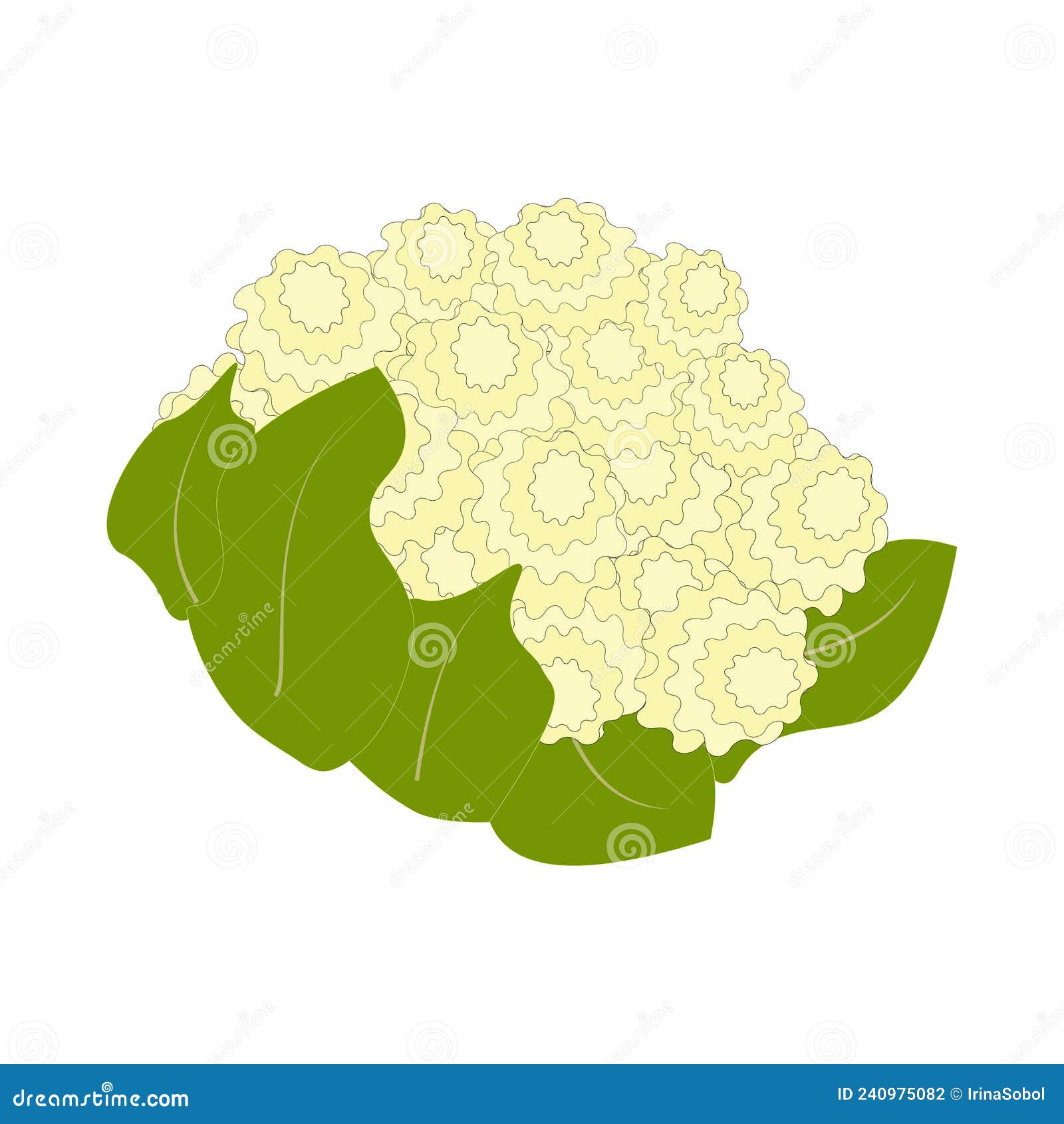 Cauliflower, Natural Food Ingredient, Vector Object Stock Vector ...