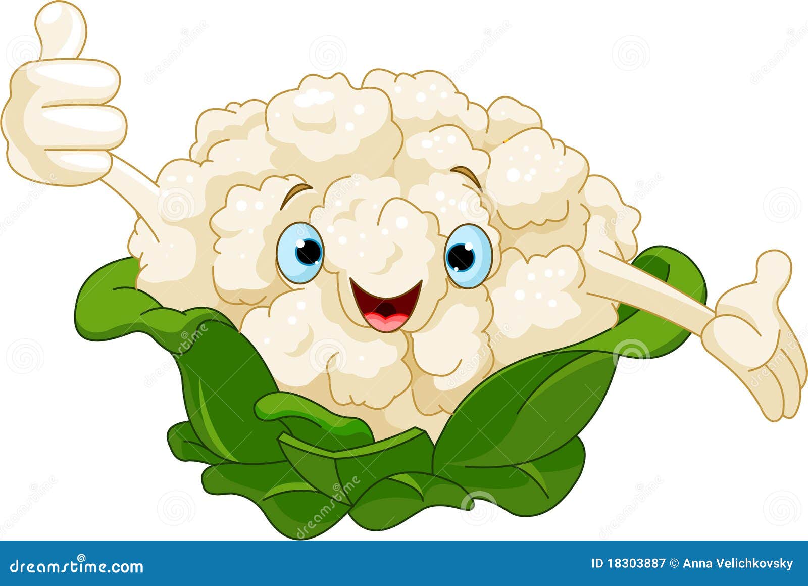 Cauliflower Presenting Something Stock Vector - Illustration of ...