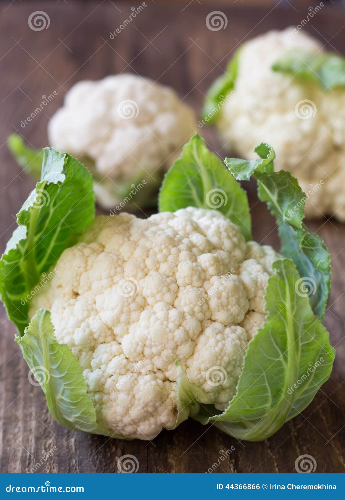 Cauliflower stock photo. Image of green, plant, cabbage - 44366866