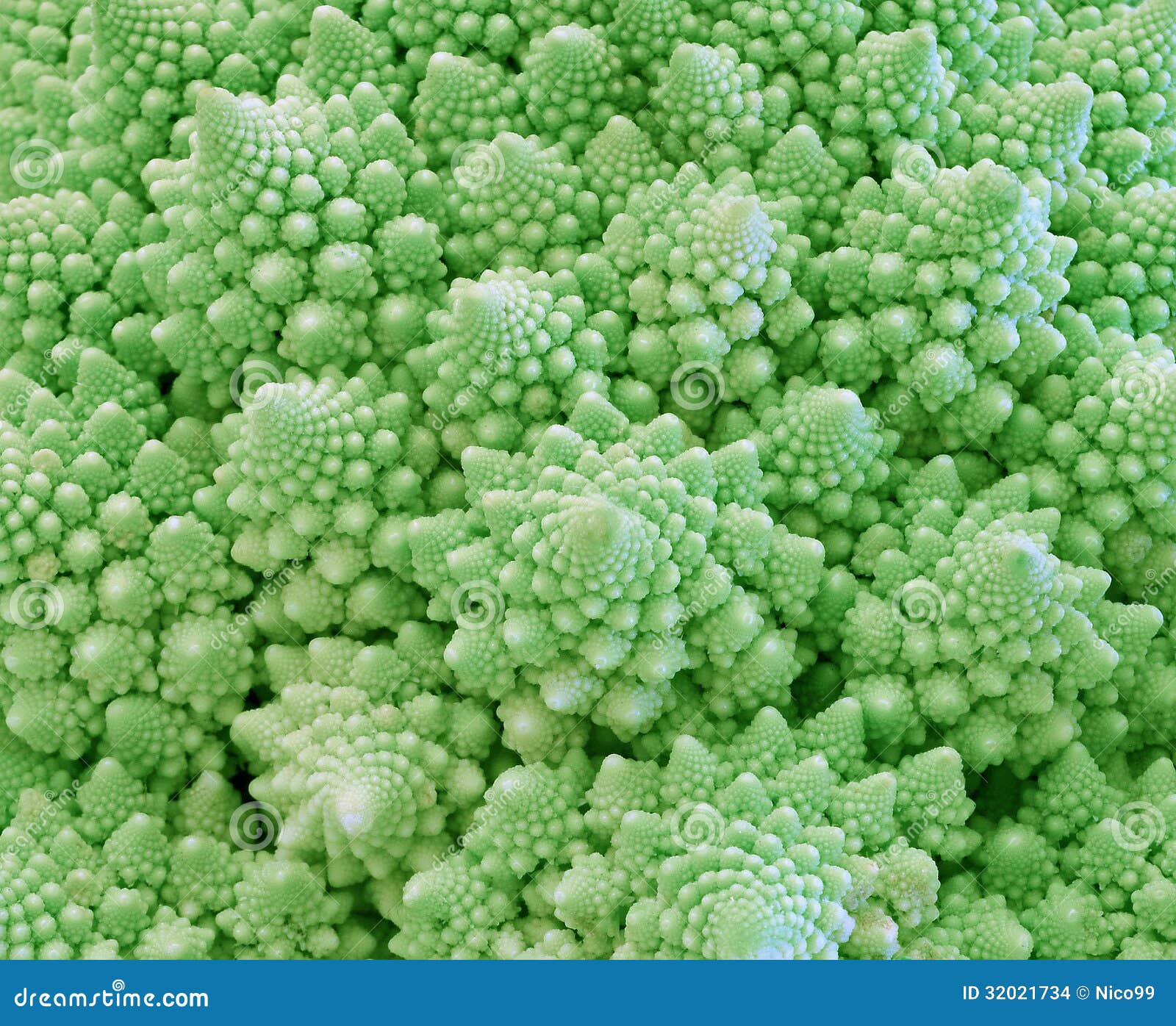 Cauliflower texture stock photo. Image of copy, nutrition - 32021734