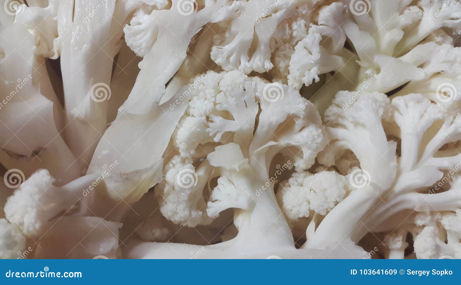 Cauliflower. the Texture of the Broccoli. the Natural Background. Stock ...