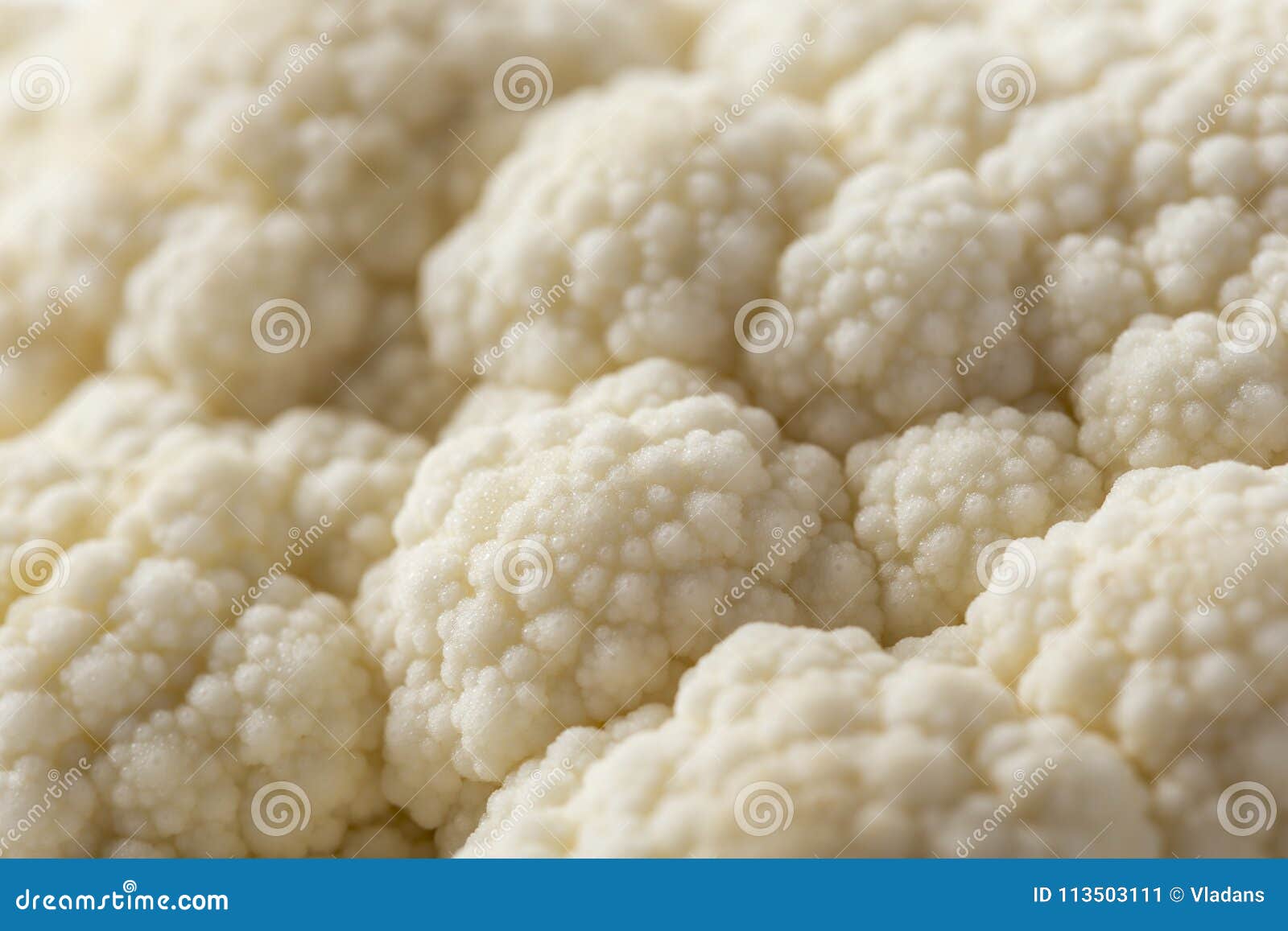 Cauliflower texture stock image. Image of grocery, healthy - 113503111