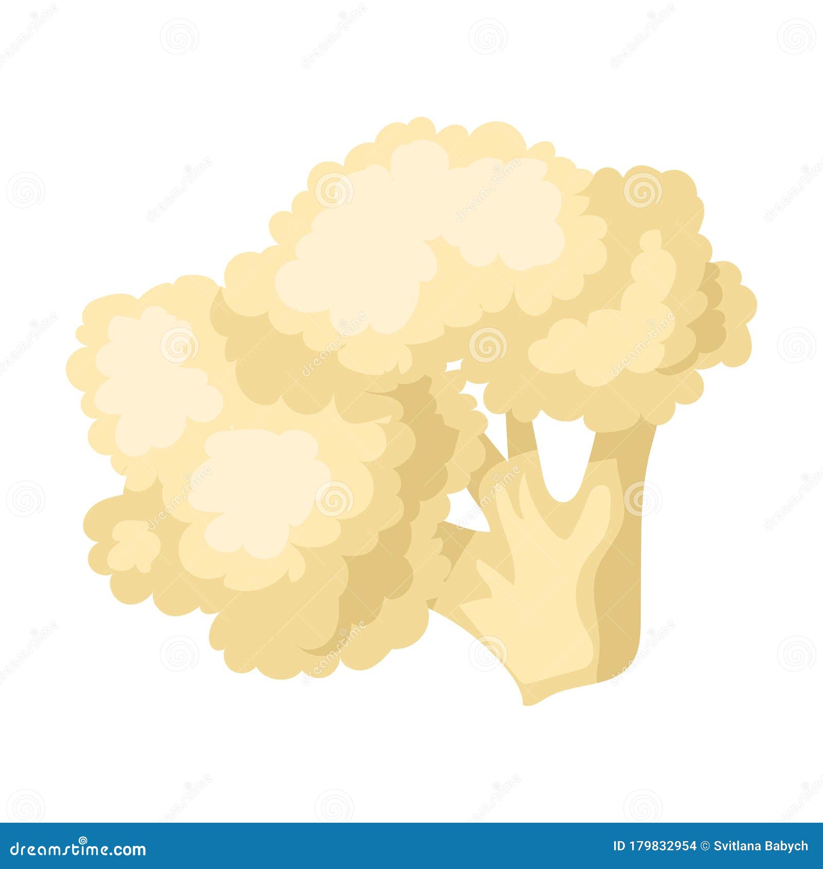 Cauliflower Vector Cartoon Set Icon. Vector Illustration Cabbage On ...