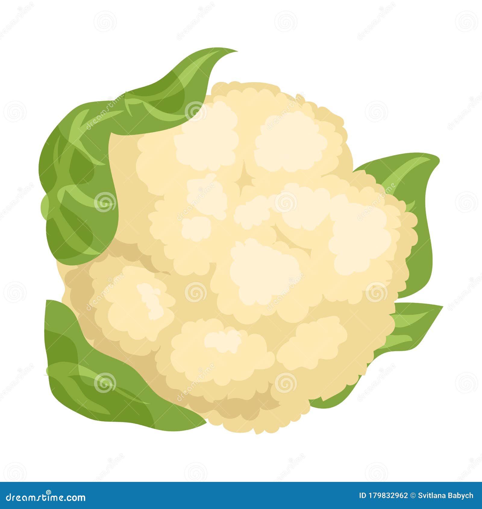 Cauliflower Vector Icon.Cartoon Vector Icon Isolated on White ...