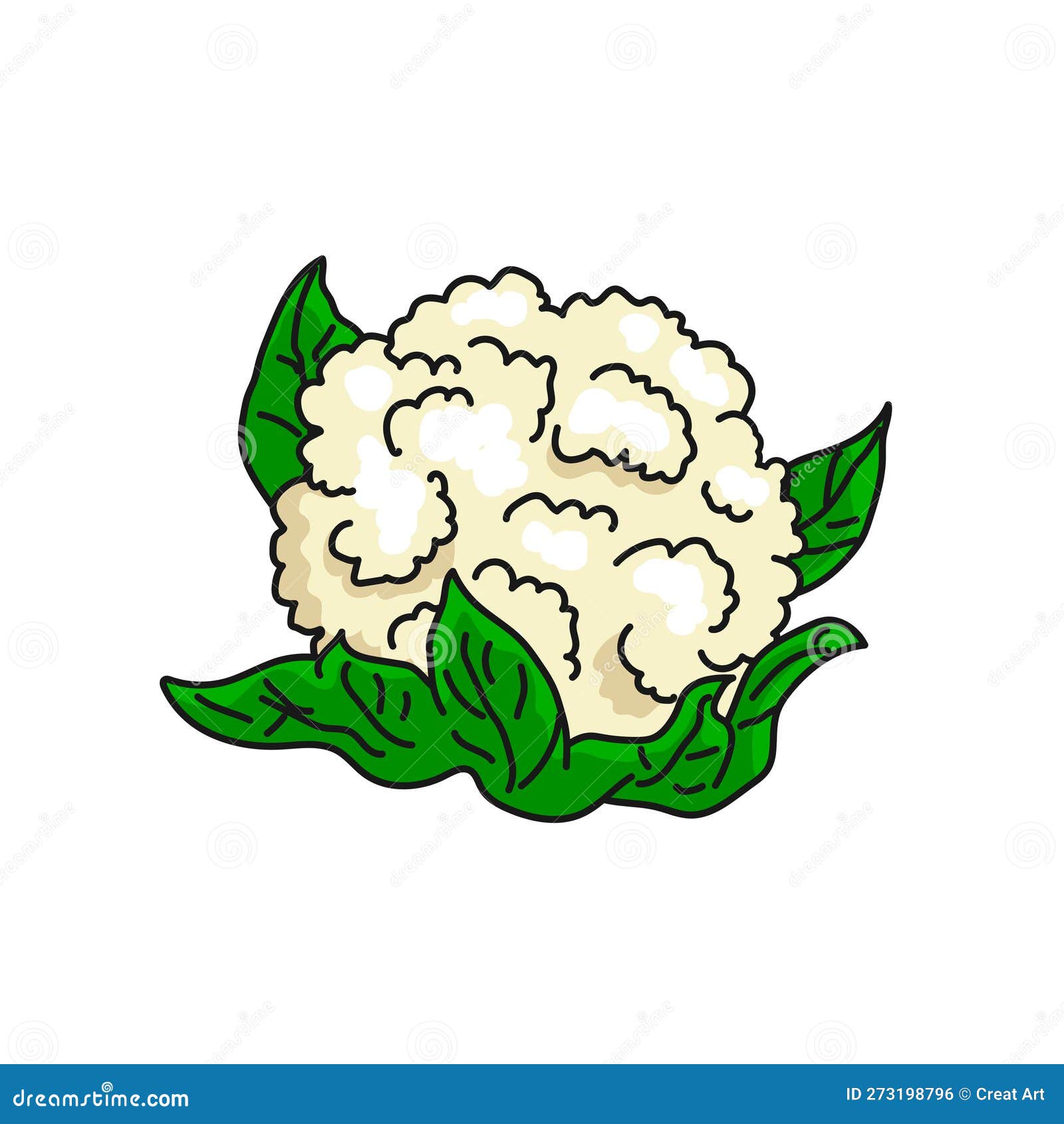 Cauliflower Vector Drawing On Isolated White Background | CartoonDealer ...