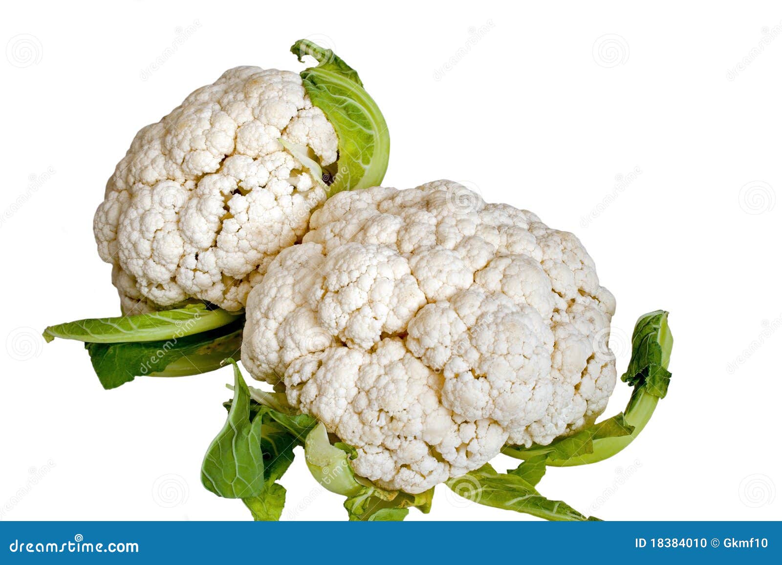 Cauliflowers in isolated stock photo. Image of leaf, diet - 18384010