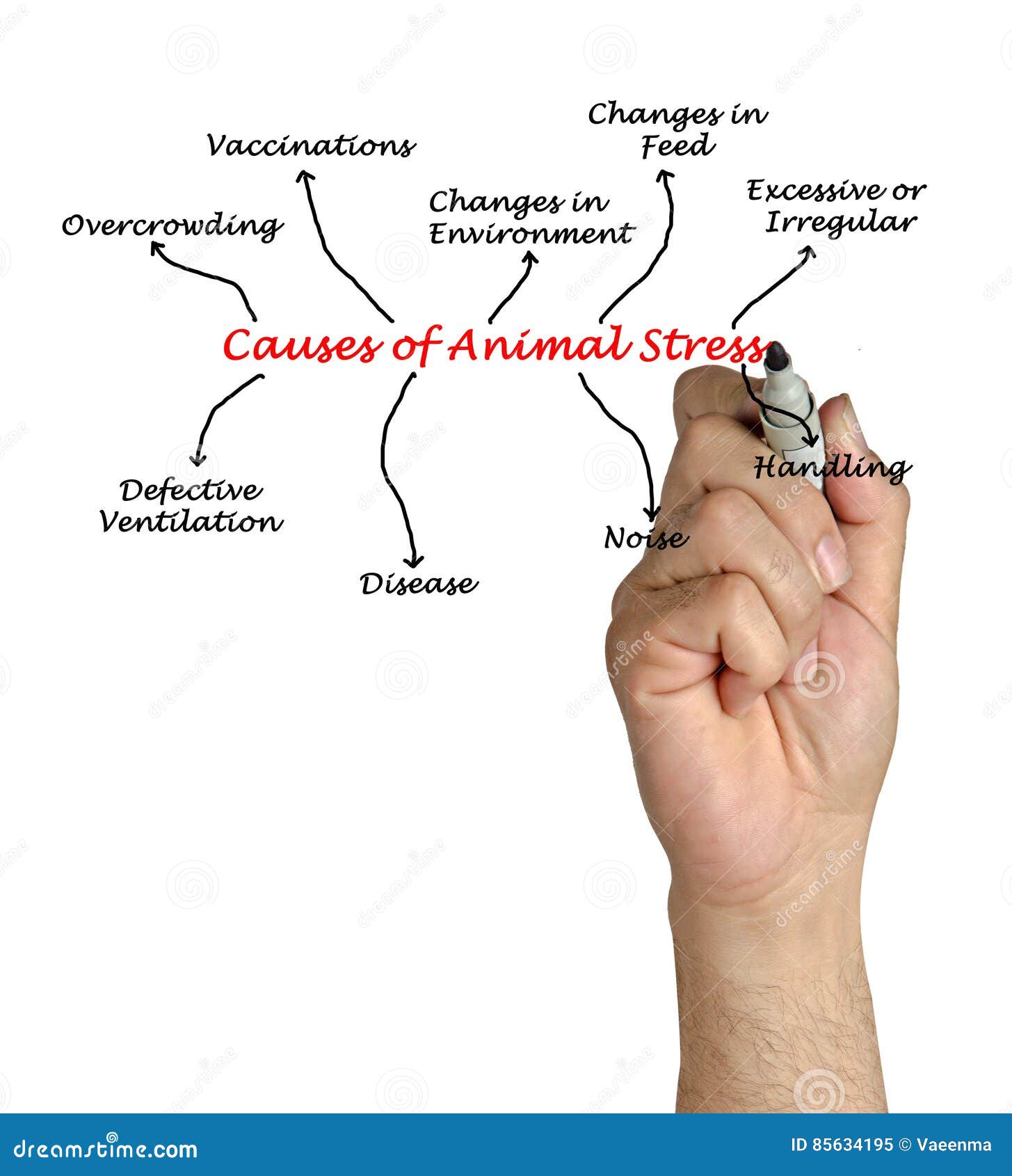 Causas De La Tensión Animal Imagen de archivo - Imagen de mujer ...