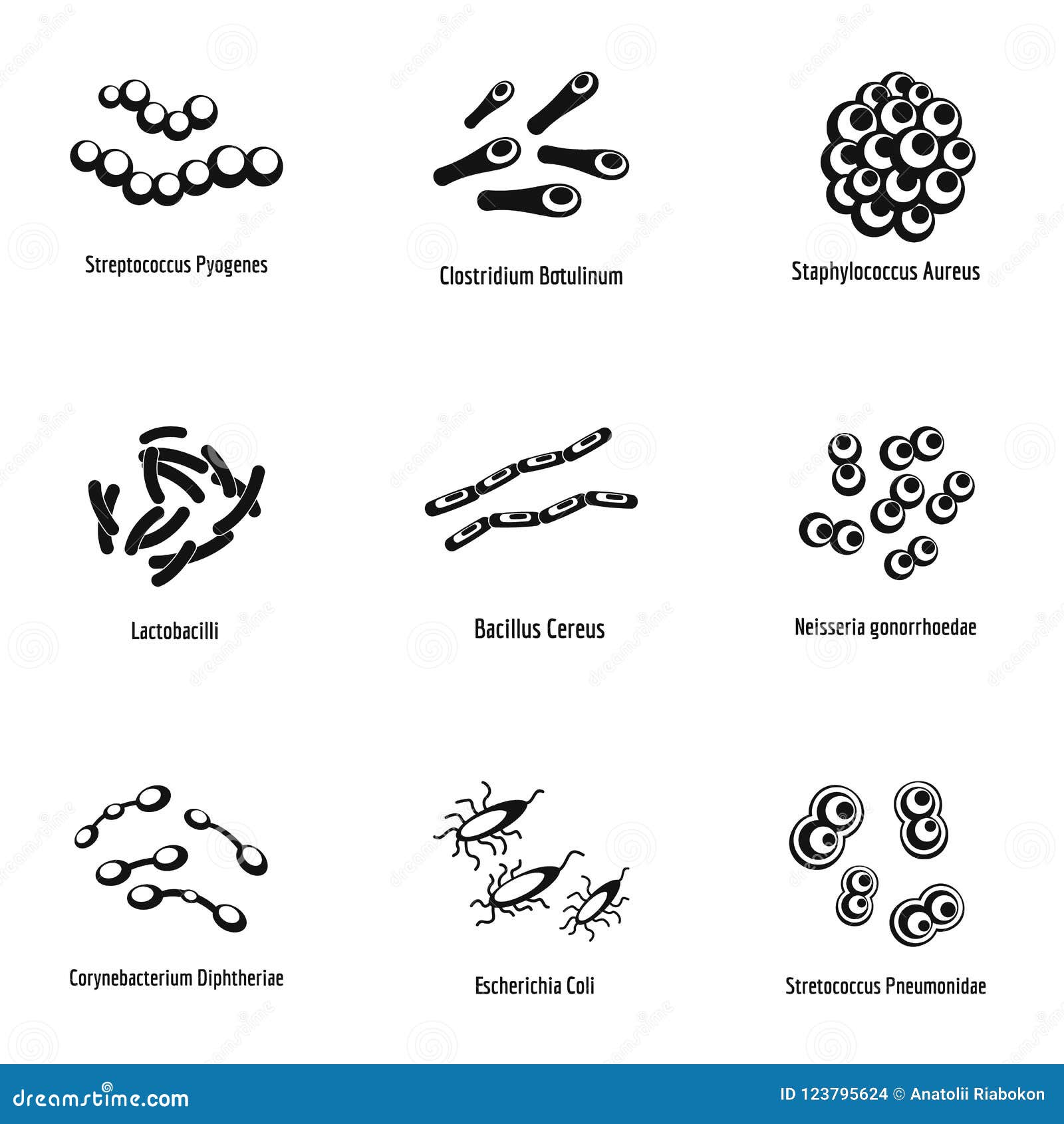Microbiology. The Causative Agent Of Syphilis Cartoon Vector ...