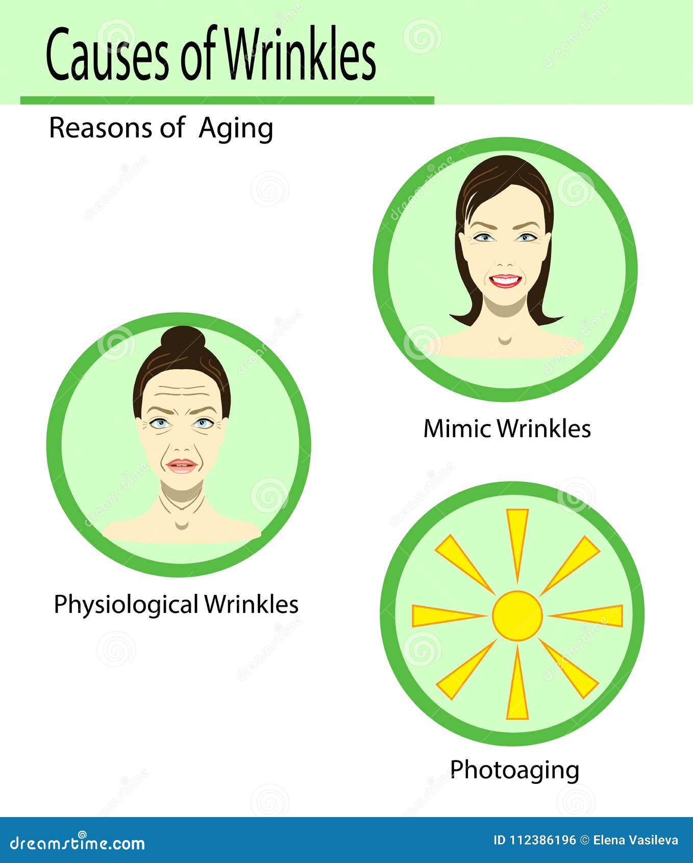 Causes of Aging, Vector Illustration Reasons of Aging, Types of ...