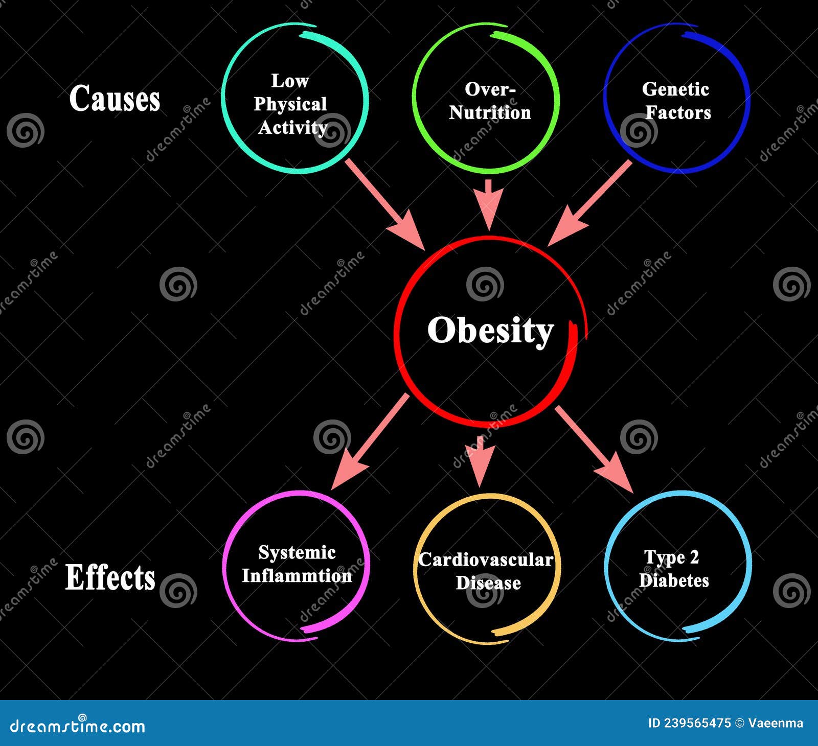 Causes and Effects of Obesity Stock Illustration - Illustration of ...