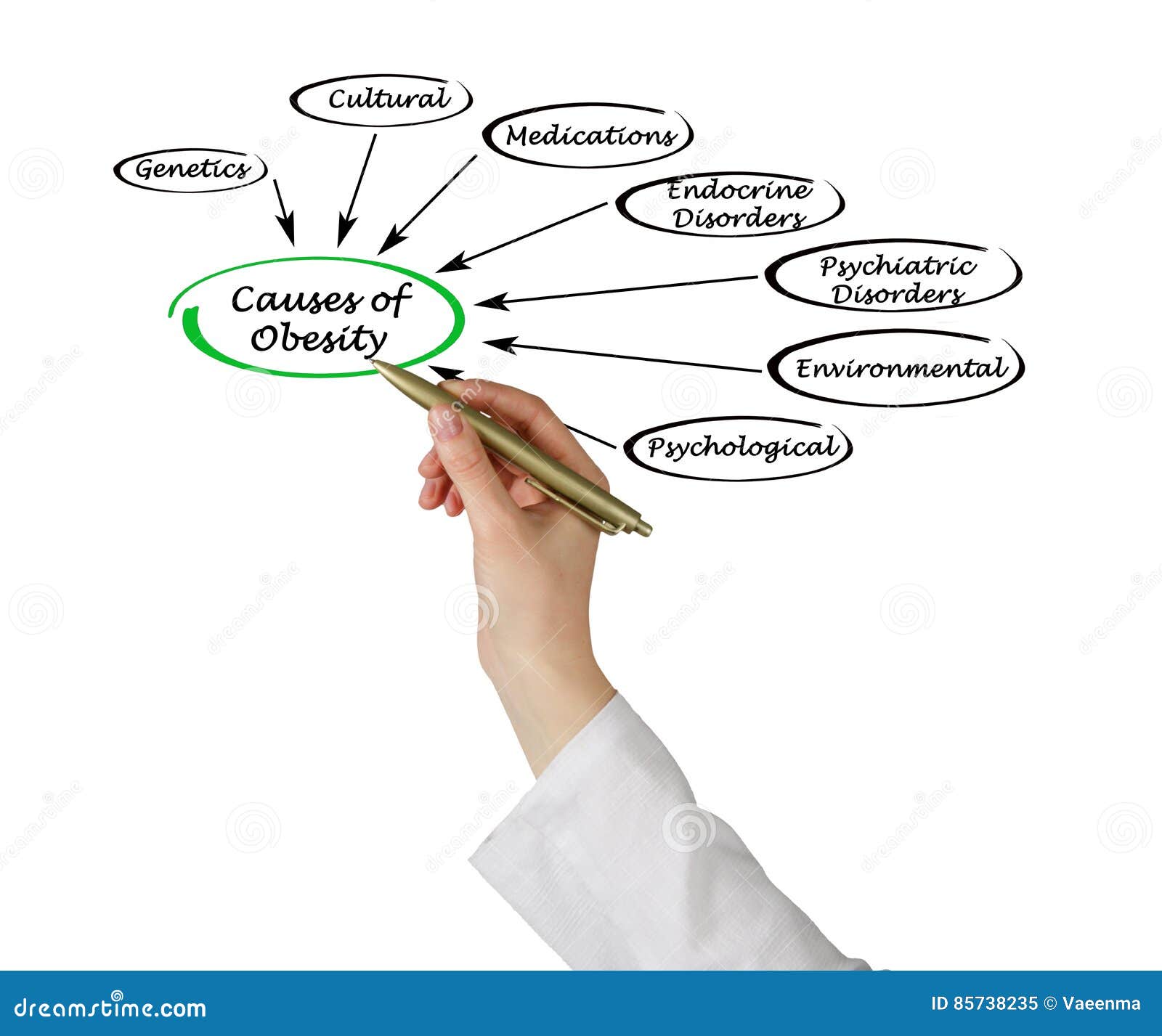 Causes of Obesity stock image. Image of psychiatric, environment - 85738235