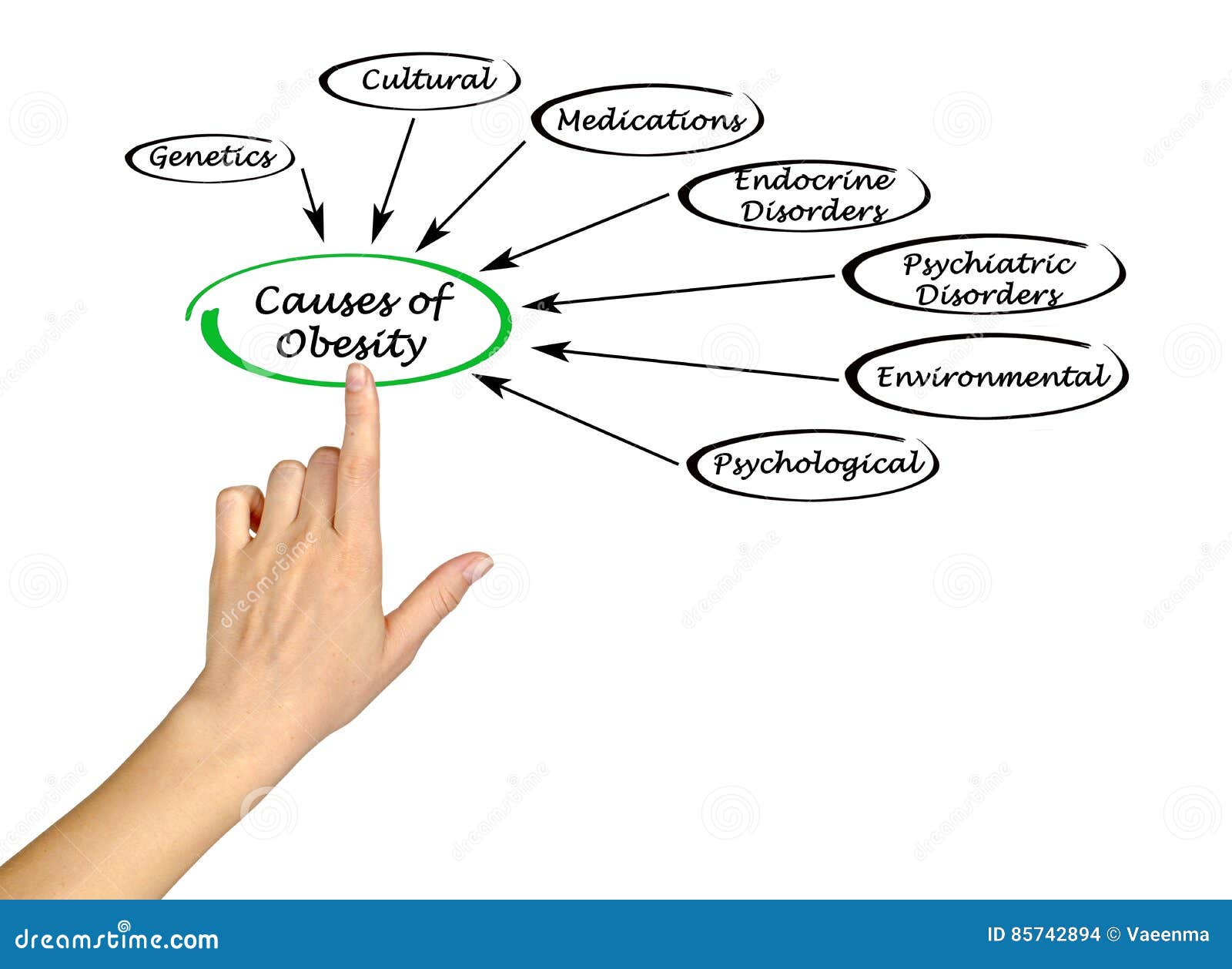 Obesity: Causes And Effects Stock Photography | CartoonDealer.com ... Obesity: Causes And Effects Stock Photography | CartoonDealer.com ...
