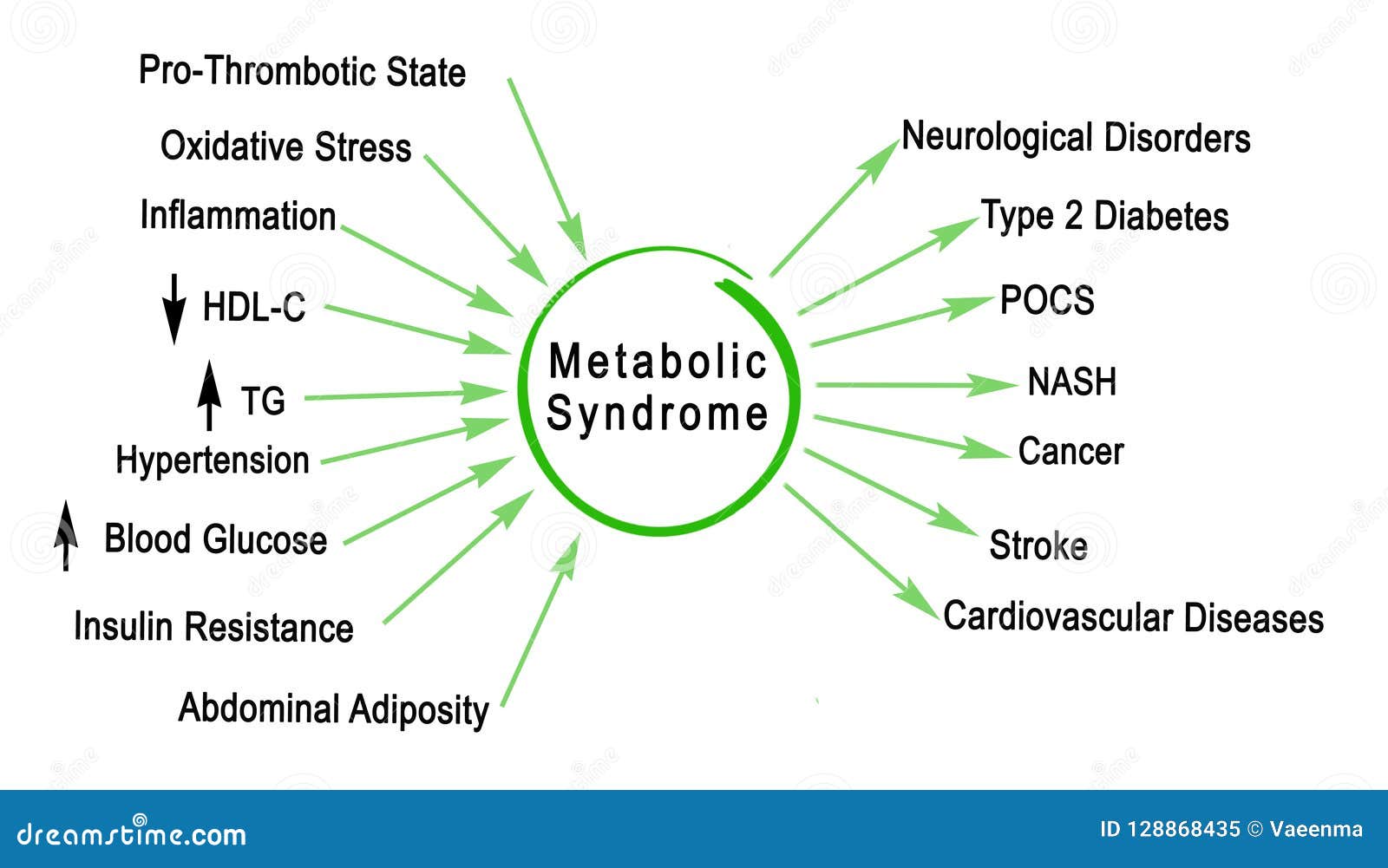 Metabolic Syndrome Royalty-Free Stock Photo | CartoonDealer.com #128868435