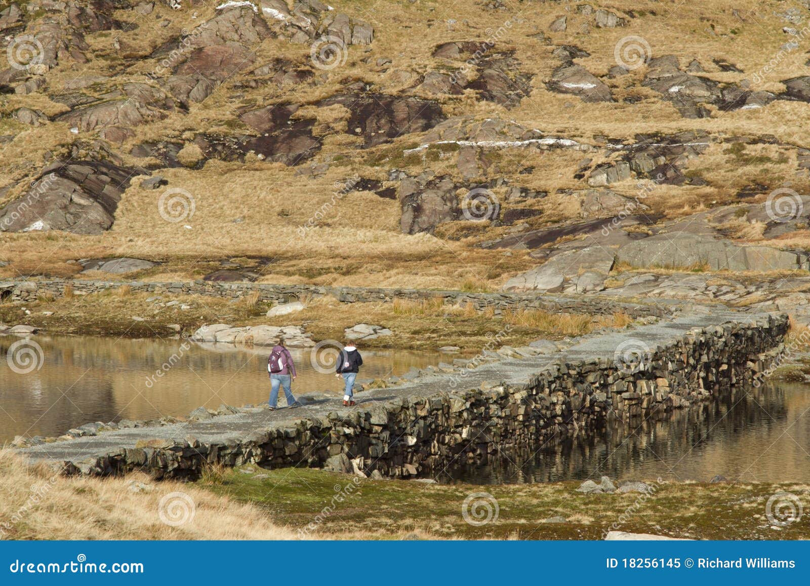 Causeway walkers. stock image. Image of walkers, footpath - 18256145