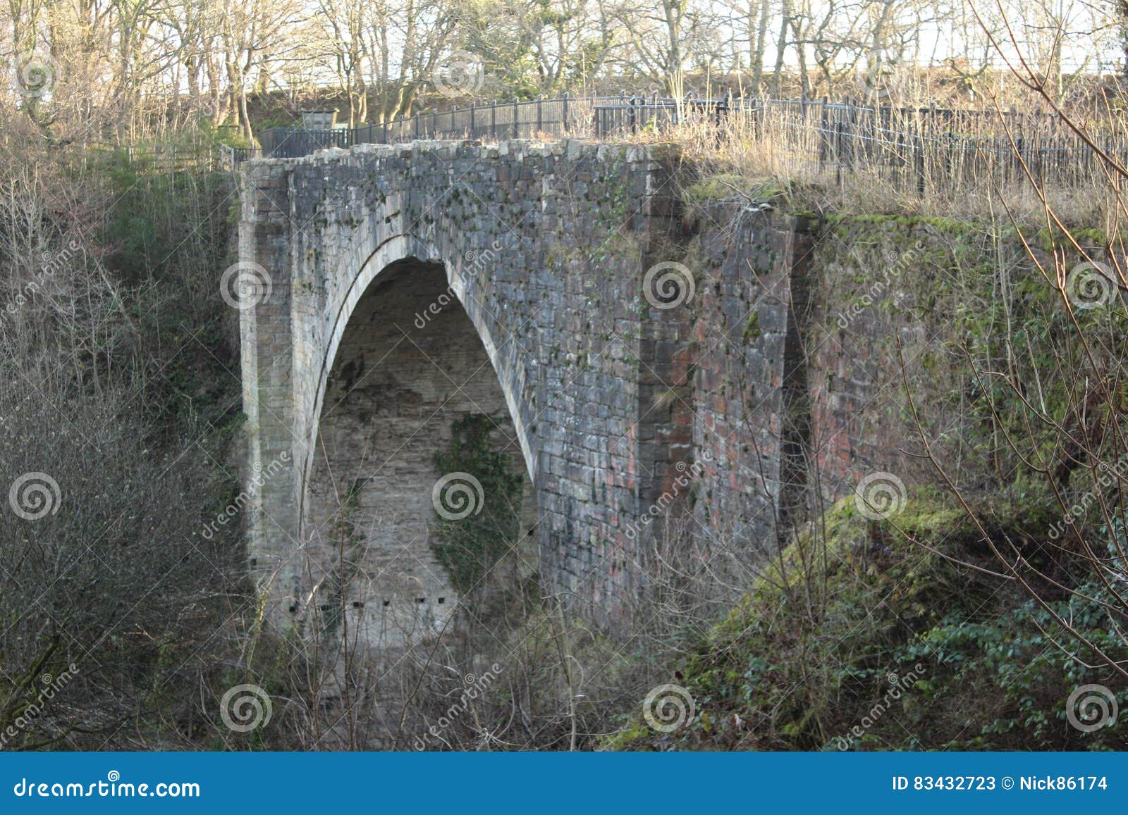 Causey Arch stock image. Image of arch, wood, heritage - 83432723