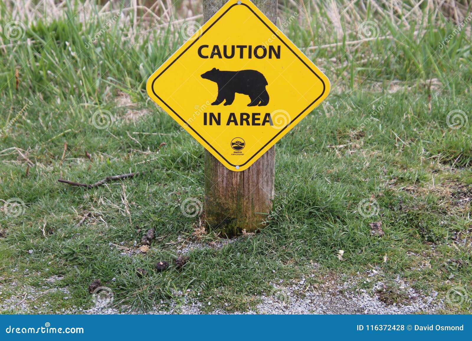 A Caution Bear in Area Sign Stock Photo - Image of yellow, safety ...