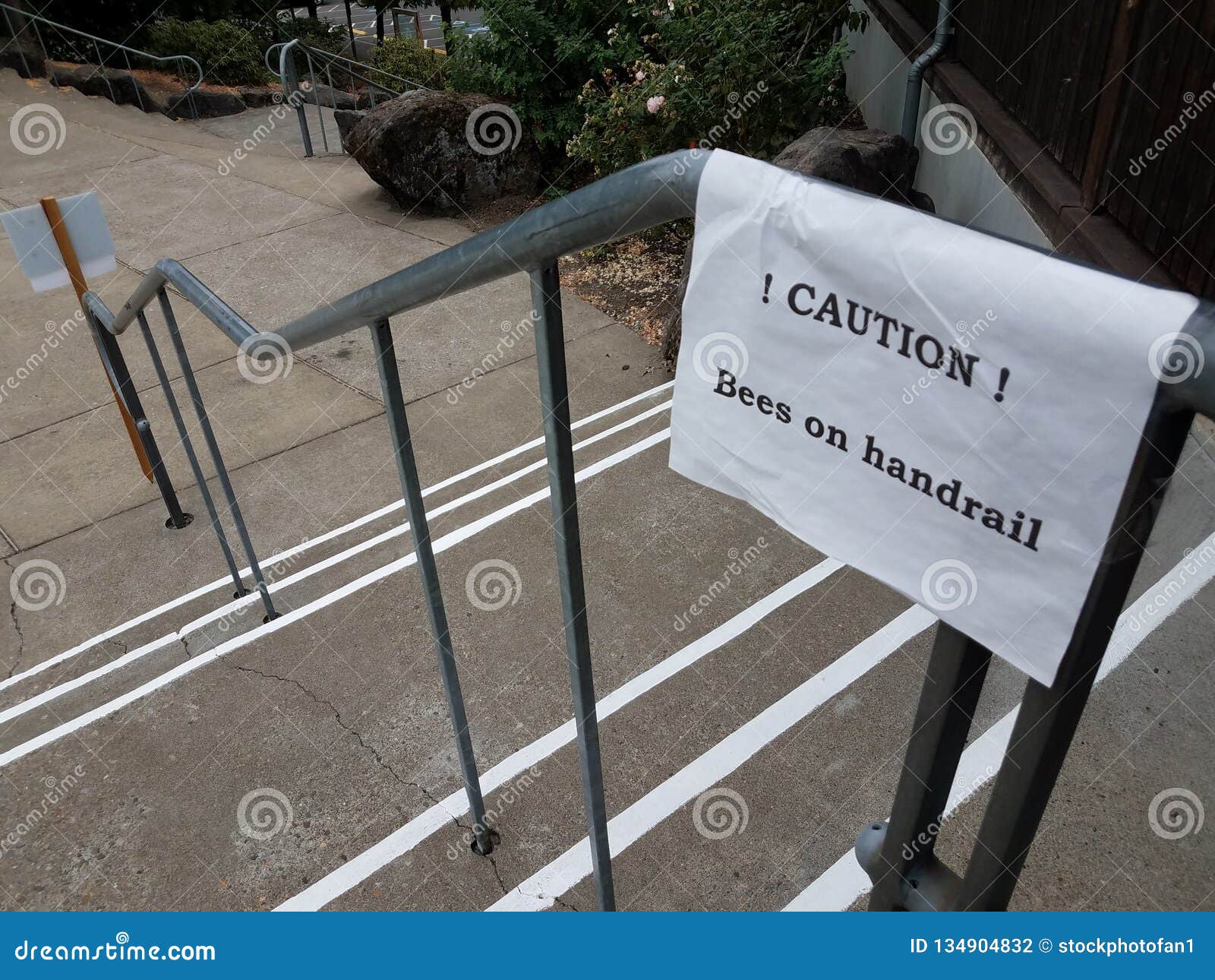 Caution Bees on Handrail Sign on Steps Stock Photo - Image of steps ...